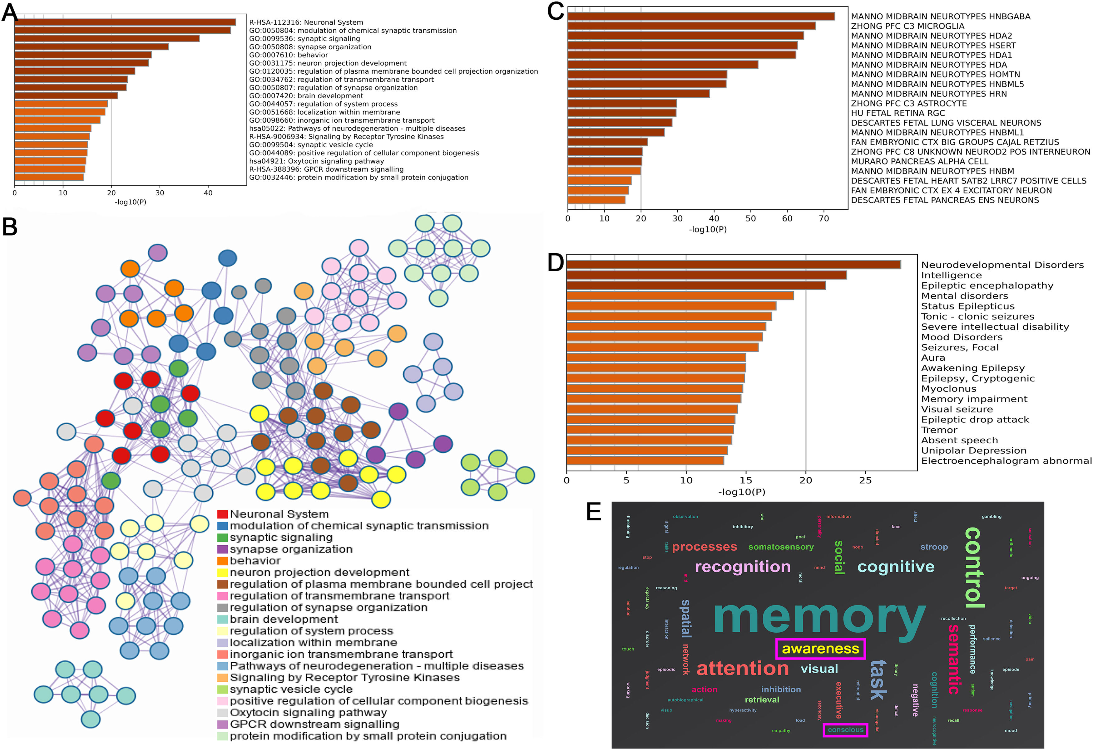 Abnormalities of cortical and subcortical spontaneous brain activity ...