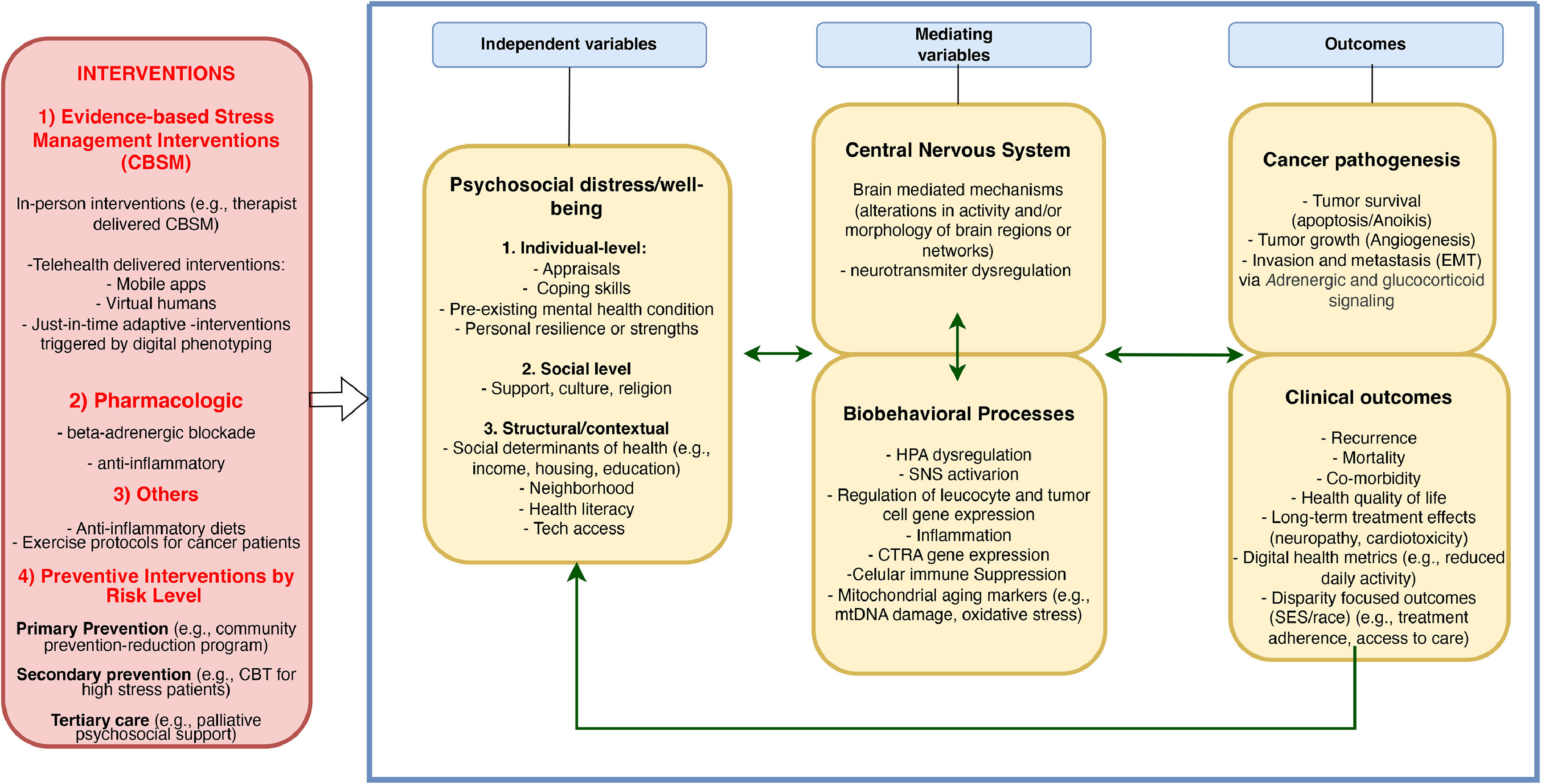 Advancing health psychology research in oncology: Biobehavioral models ...