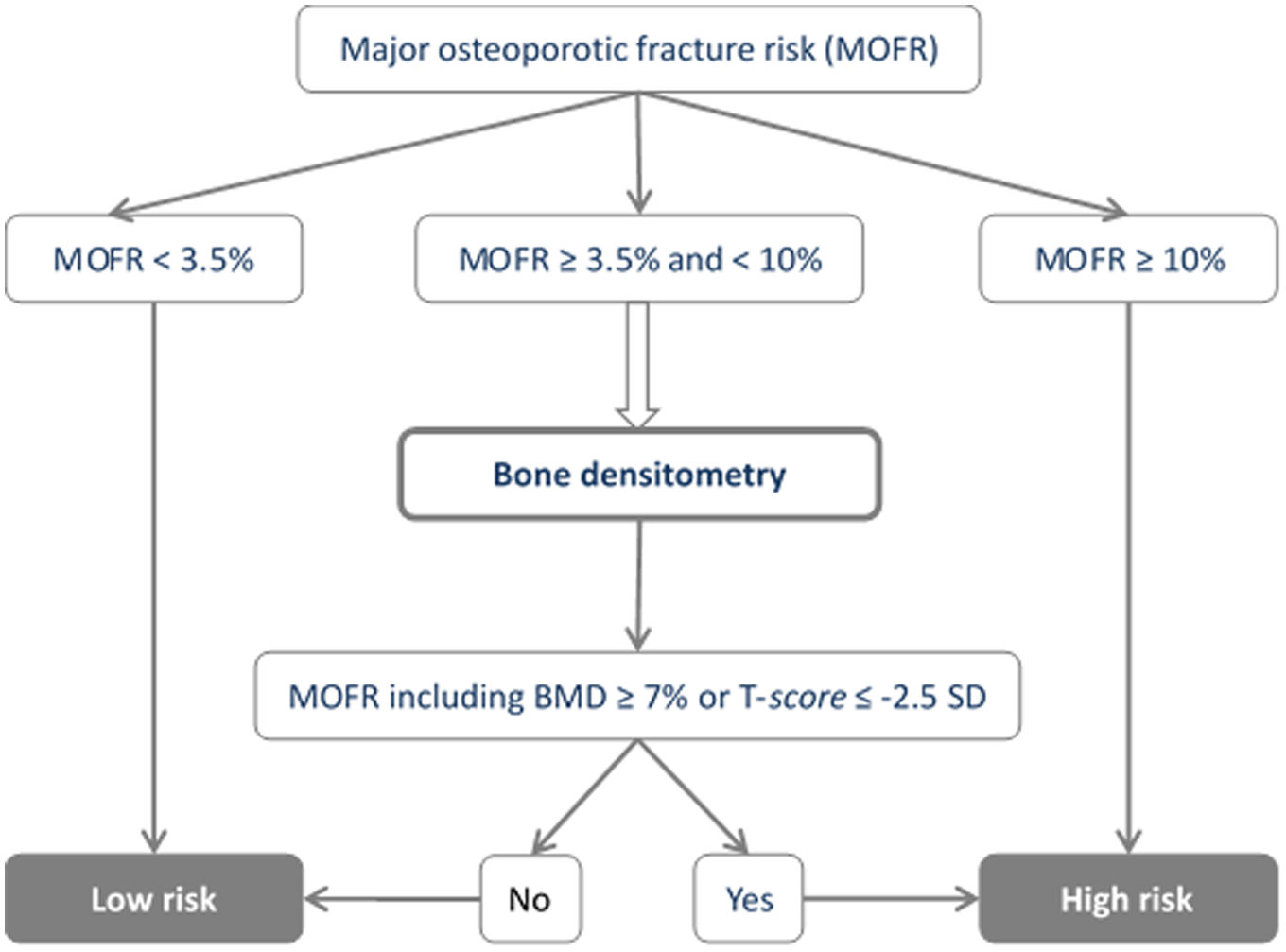 Improving fracture risk classification in Spain: A 10-year evaluation ...