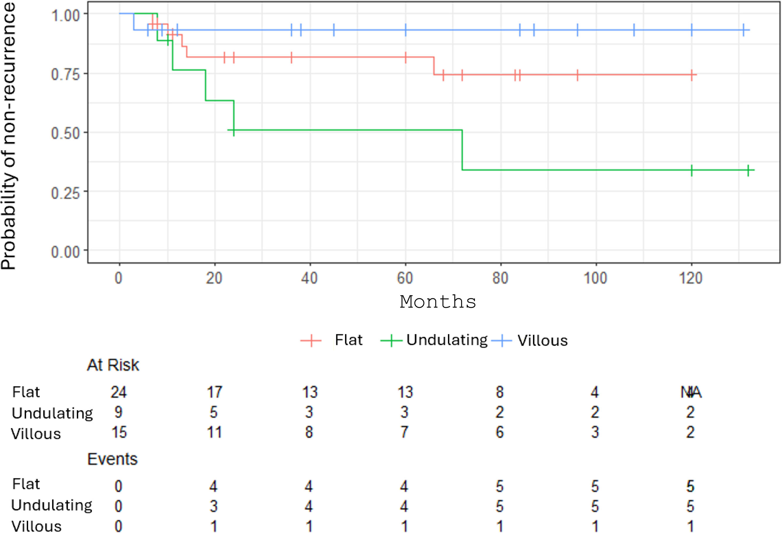 Morphological and clinical predictive factors in appendiceal mucinous ...