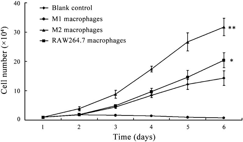 M2-polarized macrophages promote metastatic behavior of Lewis lung ...