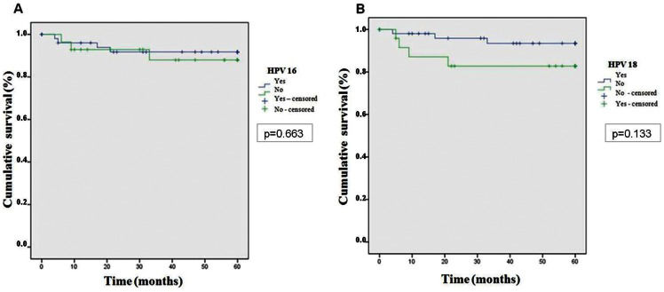 Human papillomavirus types 16 and 18 and the prognosis of patients with ...