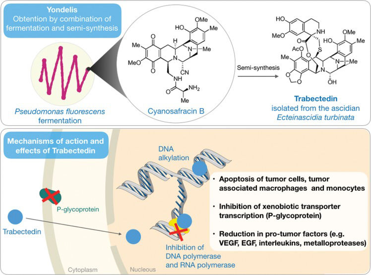 Marine drugs for cancer: surfacing biotechnological innovations from ...