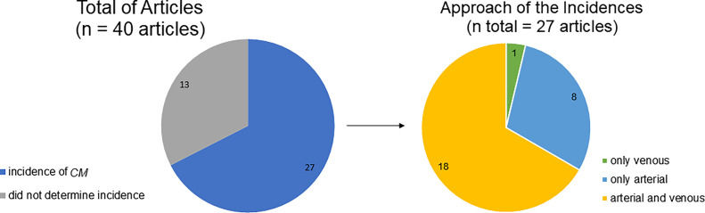 Corona Mortis: A Systematic Review of Literature | Clinics