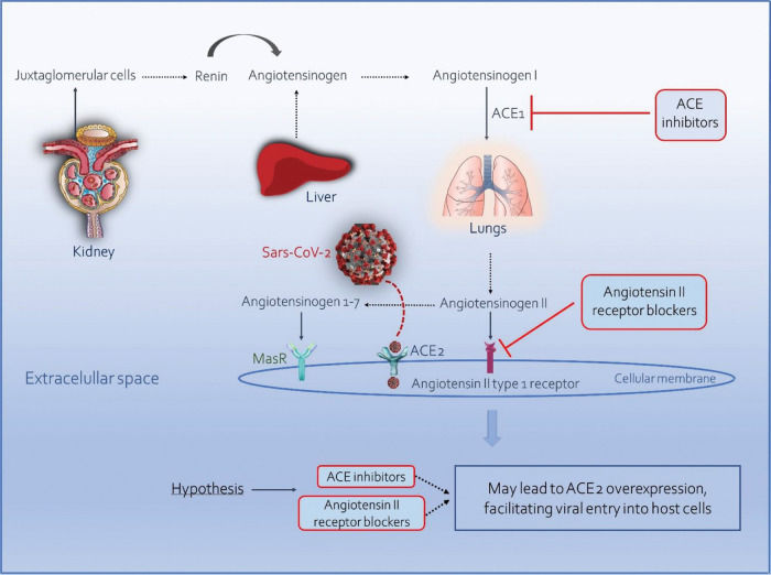 difference between ras and raas