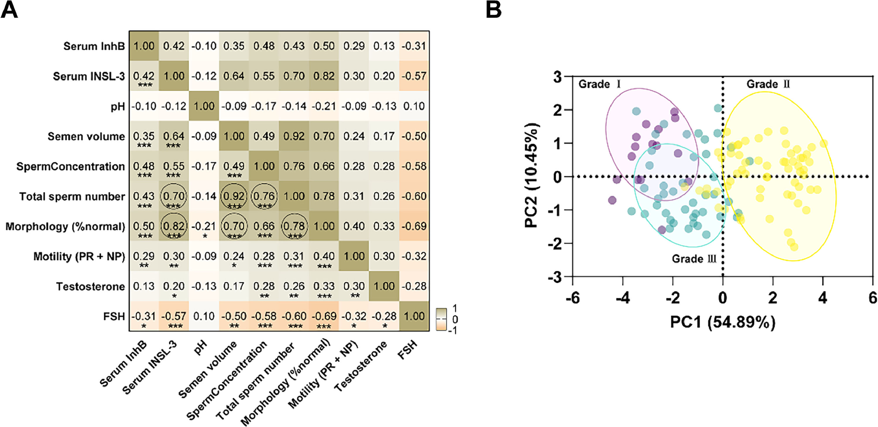 Relationship between semen parameters, serum InhB, and INSL-3 levels ...