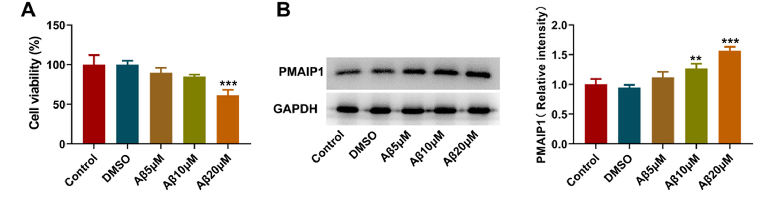 The mechanism of mitochondrial metabolic gene PMAIP1 involved in ...