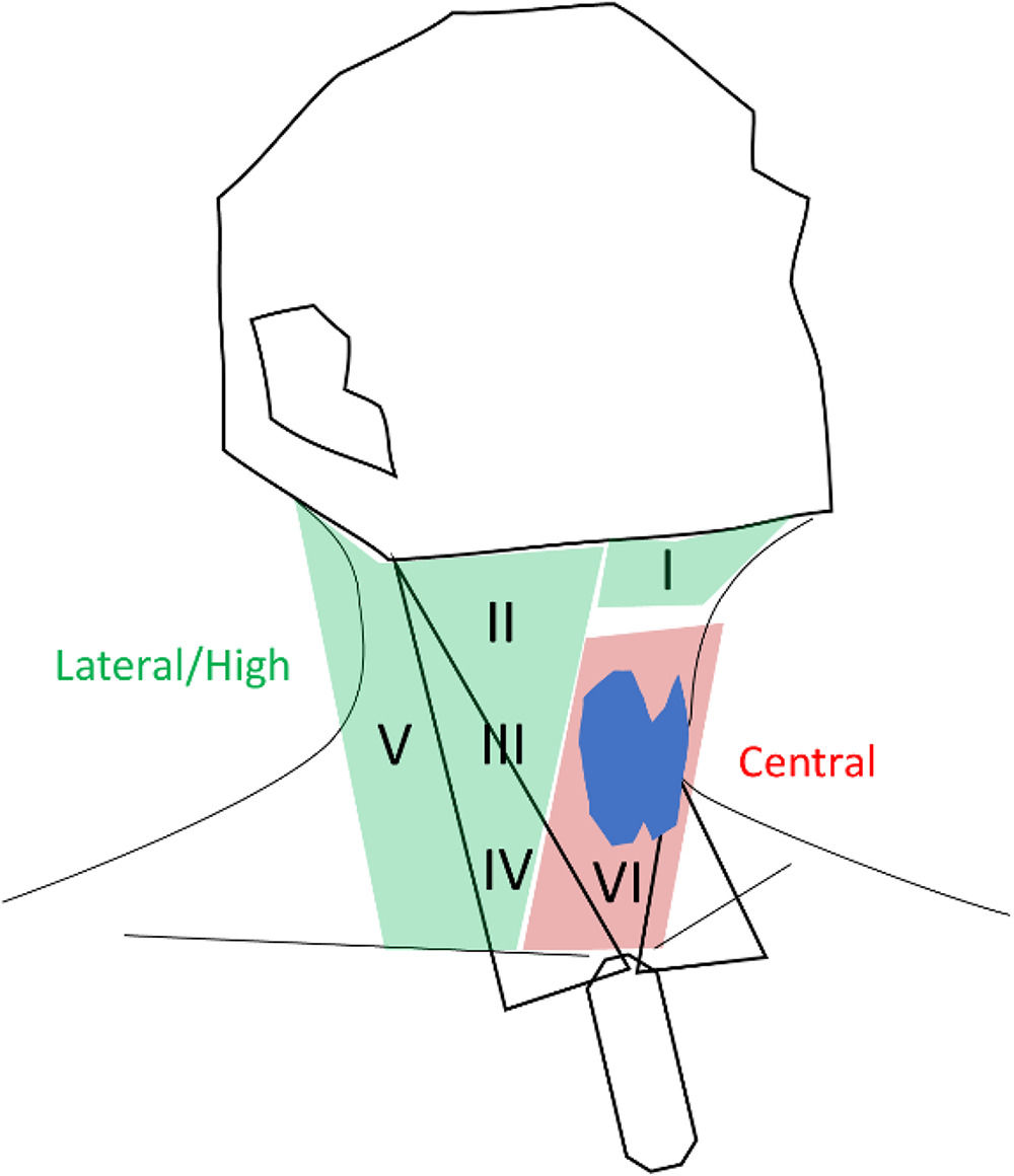The role of hormone dosages in the assessment of cervical lesions by ...