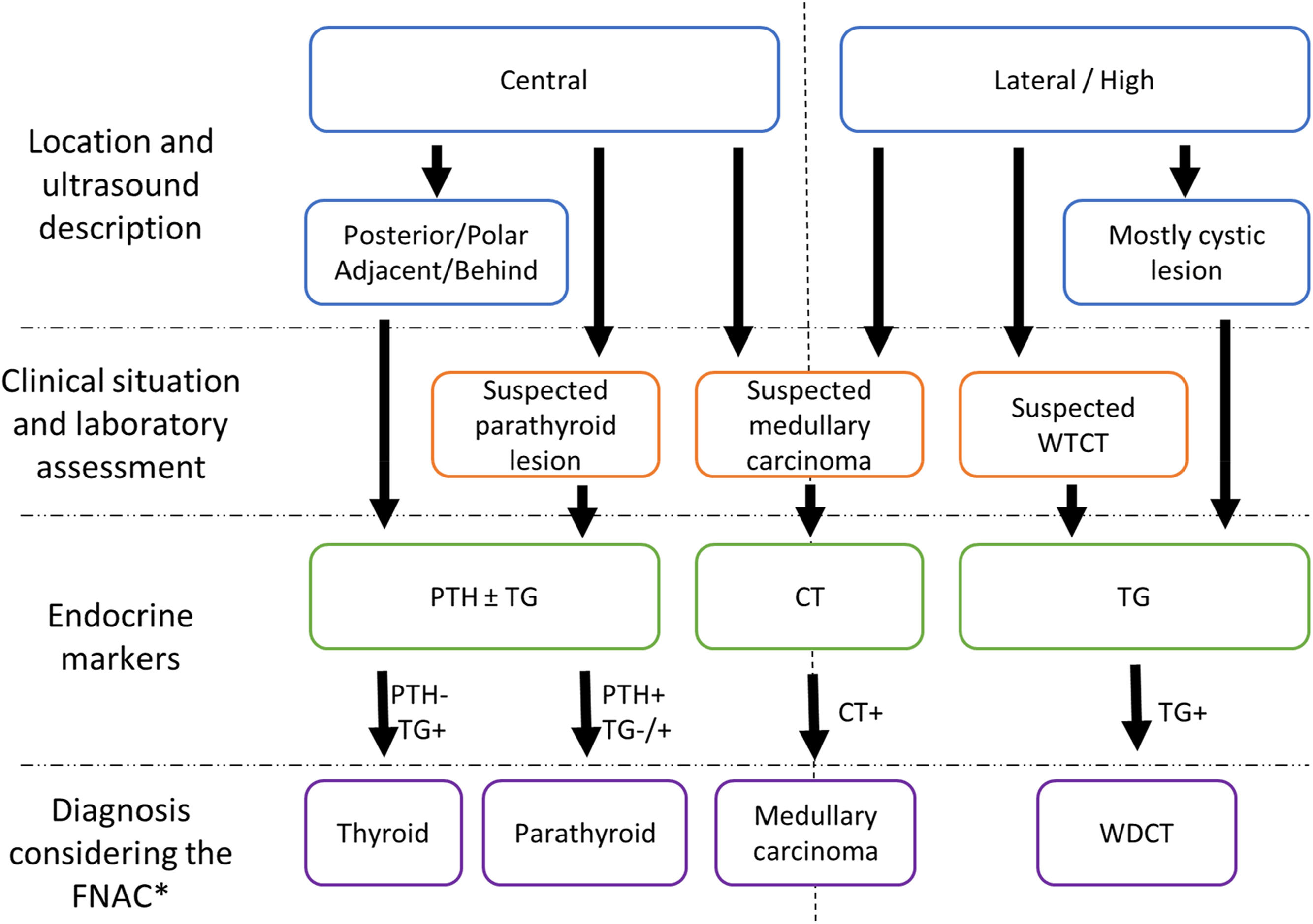 The role of hormone dosages in the assessment of cervical lesions by ...