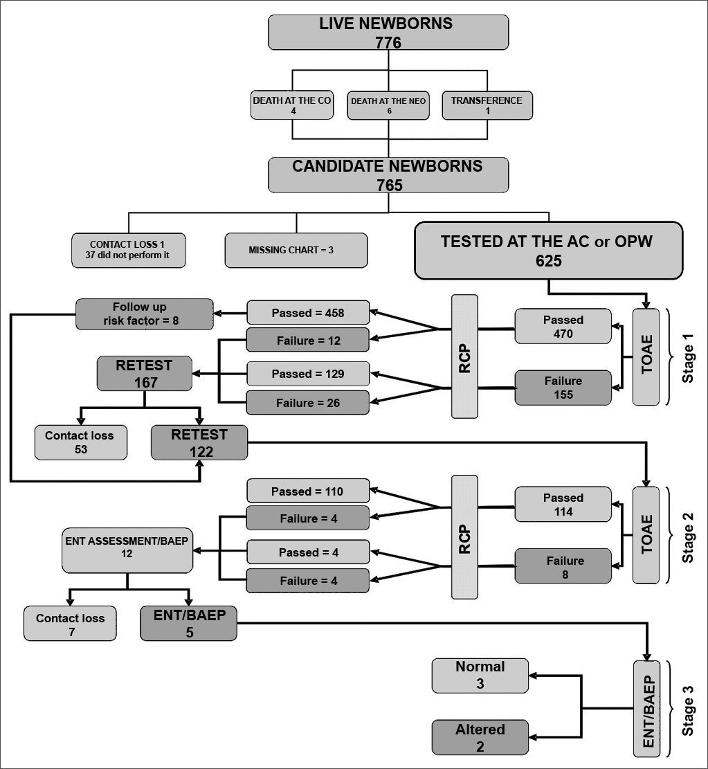 Newborn Hearing Screening Program Implantation Analysis at a University ...