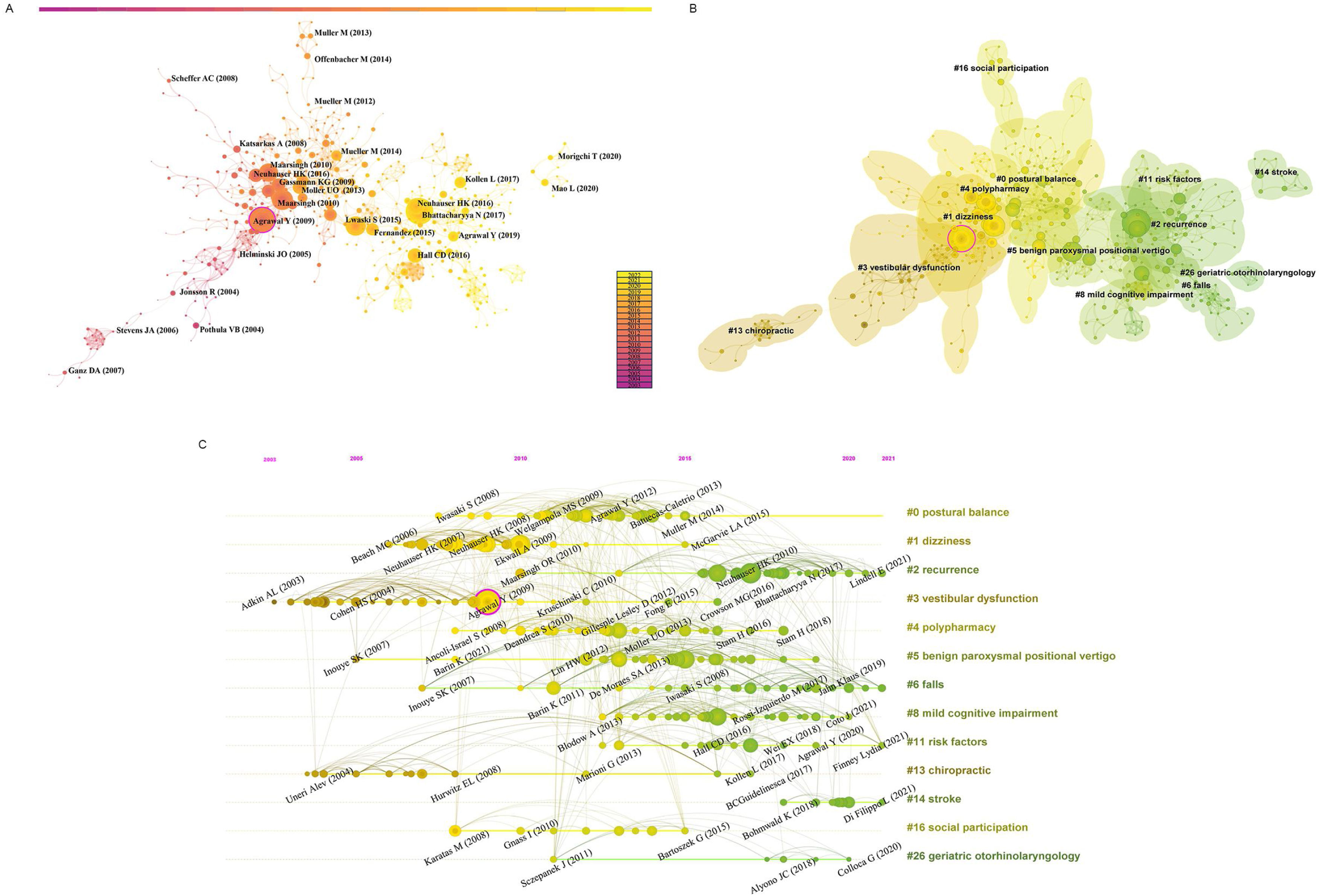 Global trends in the research on older population dizziness/vertigo: a ...