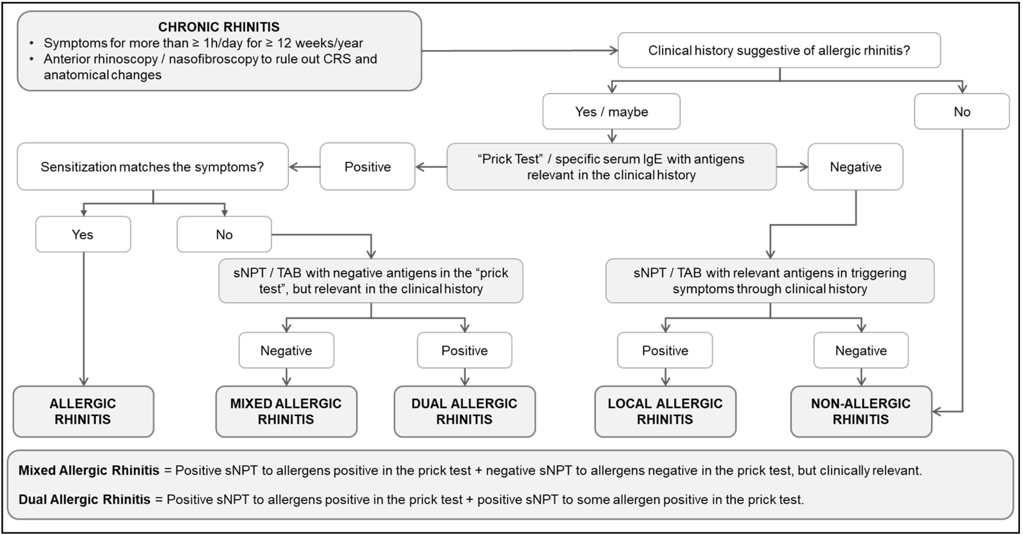 V Brazilian Consensus on Rhinitis – 2024 | Brazilian Journal of ...