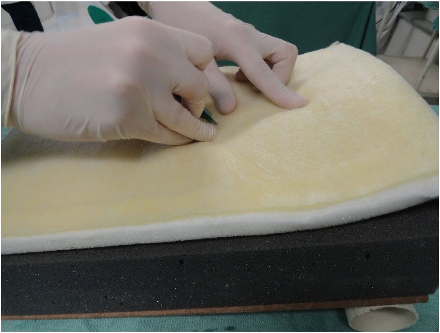 Experimental model for percutaneous tracheostomy training | Brazilian ...