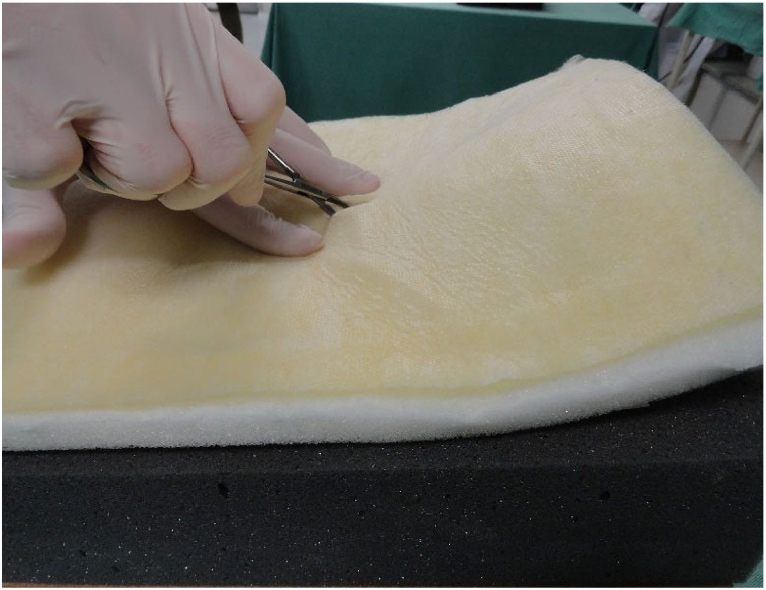 Experimental model for percutaneous tracheostomy training | Brazilian ...