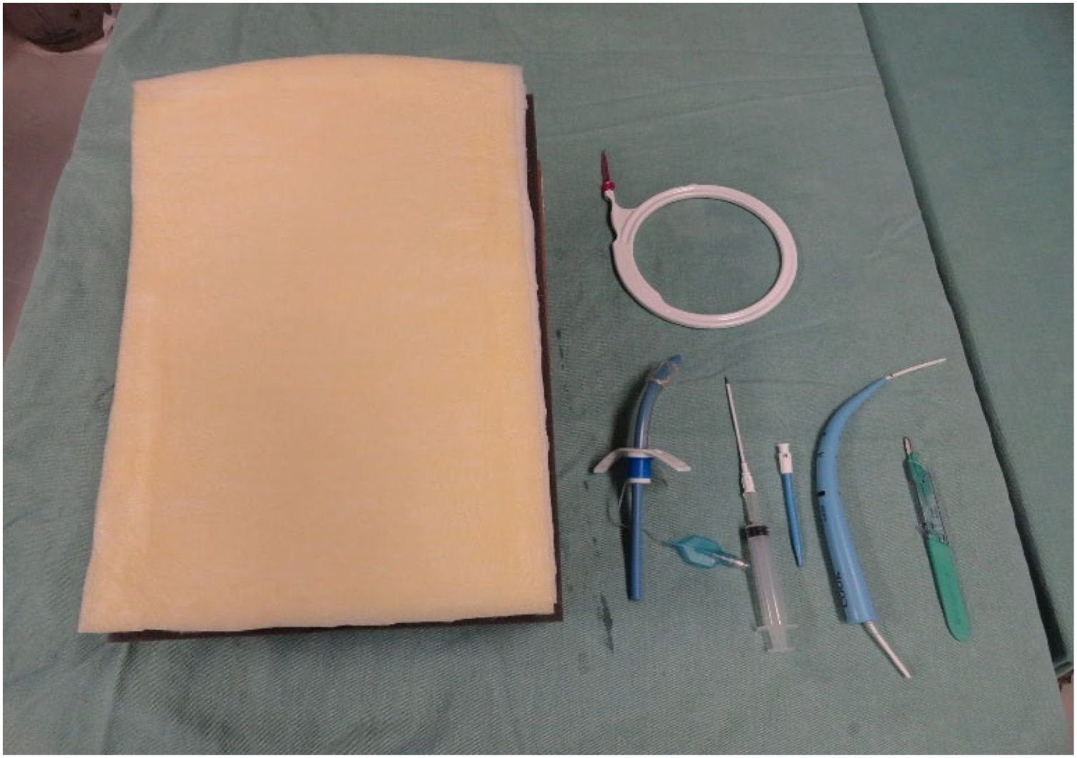 Experimental model for percutaneous tracheostomy training | Brazilian ...