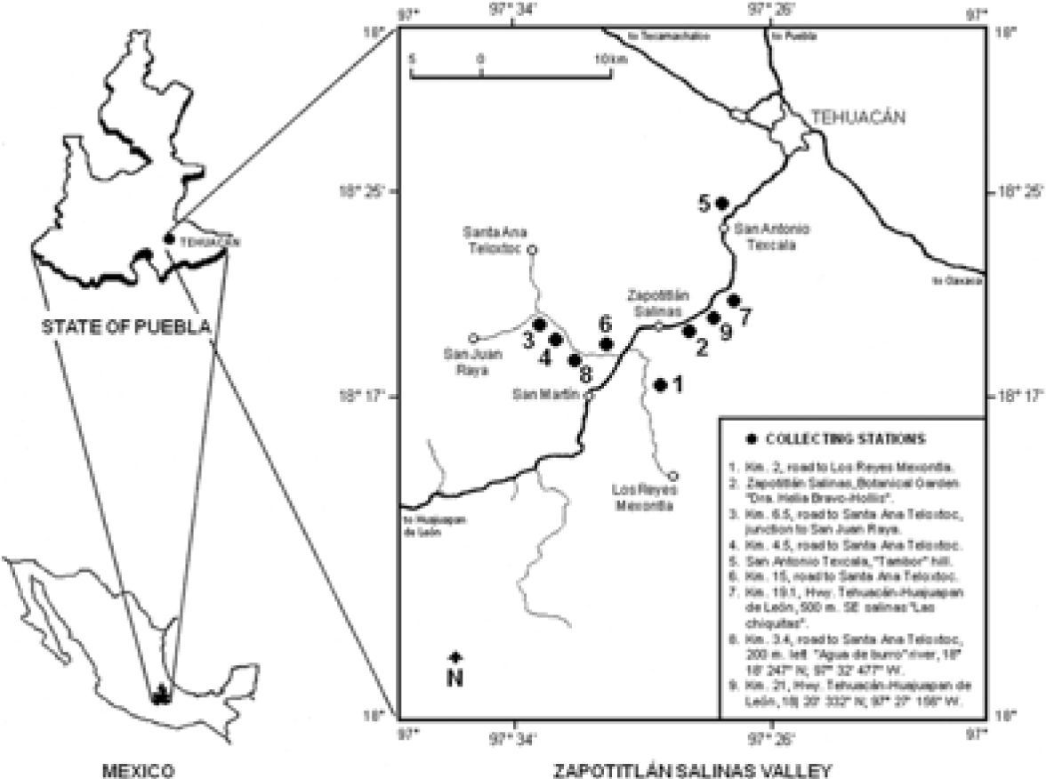 Psocopterans (Psocoptera: Insecta) from Zapotitlán Salinas, Puebla ...