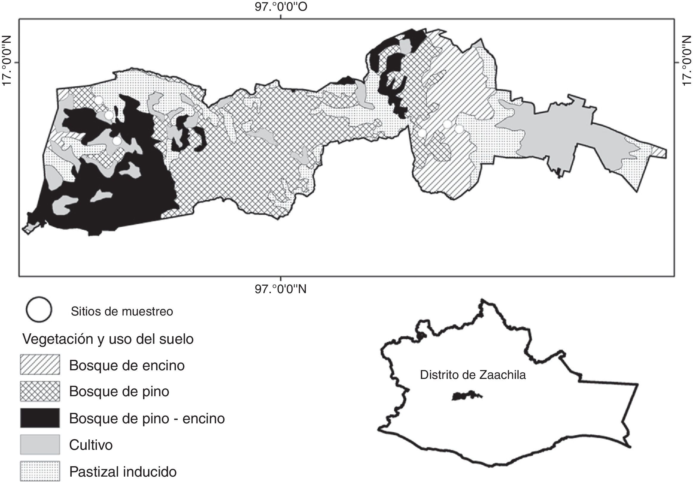 Bromelias Epífitas Del Distrito De Zaachila Oaxaca México Revista