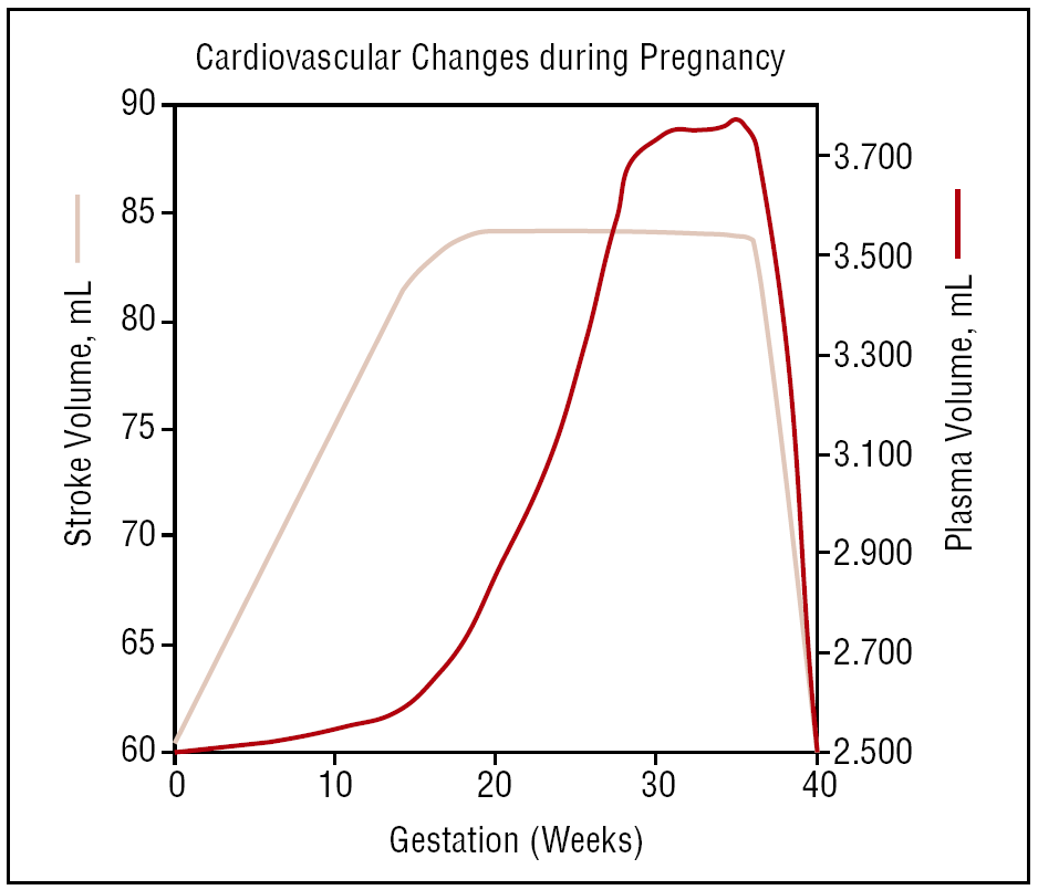 Pregnancy And Heart Disease | Revista Española de Cardiología