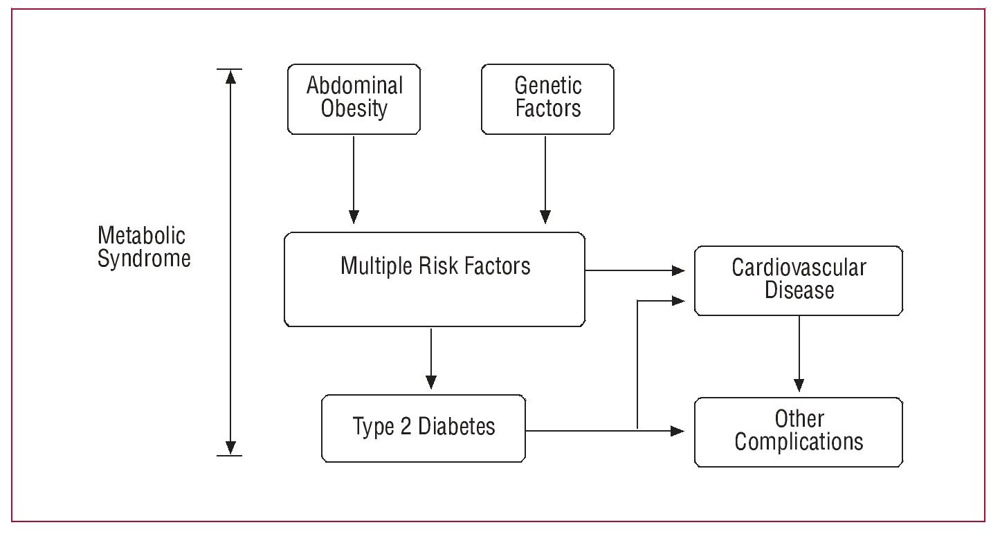 Obesity, Metabolic Syndrome and Diabetes: Cardiovascular Implications ...