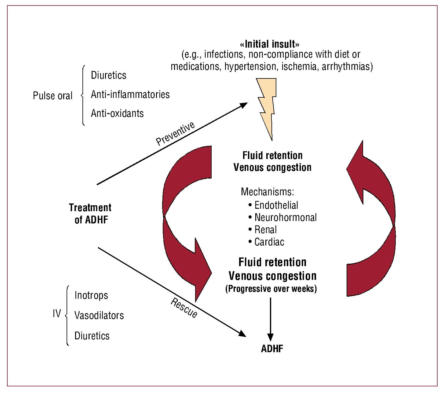 The Active Role of Venous Congestion in the Pathophysiology of Acute ...