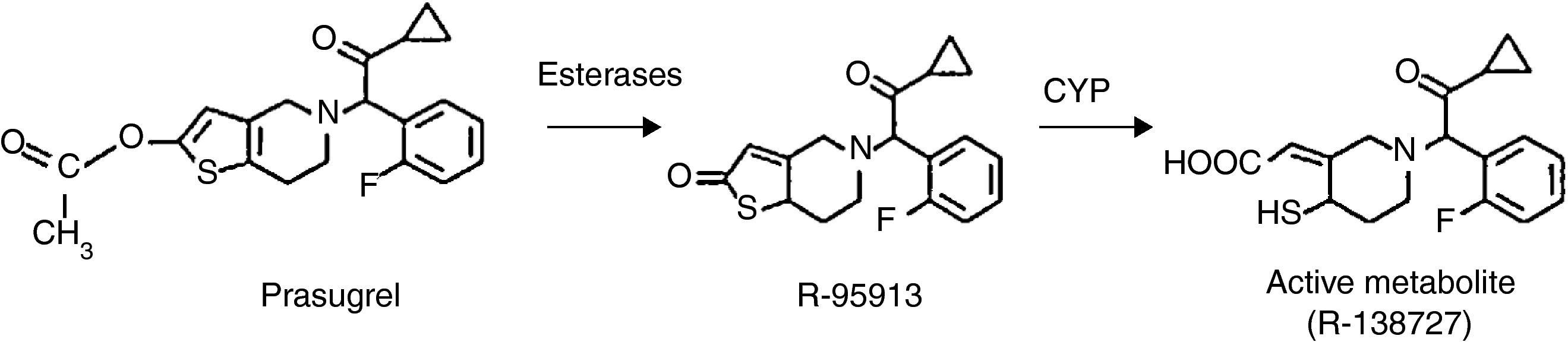 On the Metabolism of Prasugrel | Revista Española de Cardiología