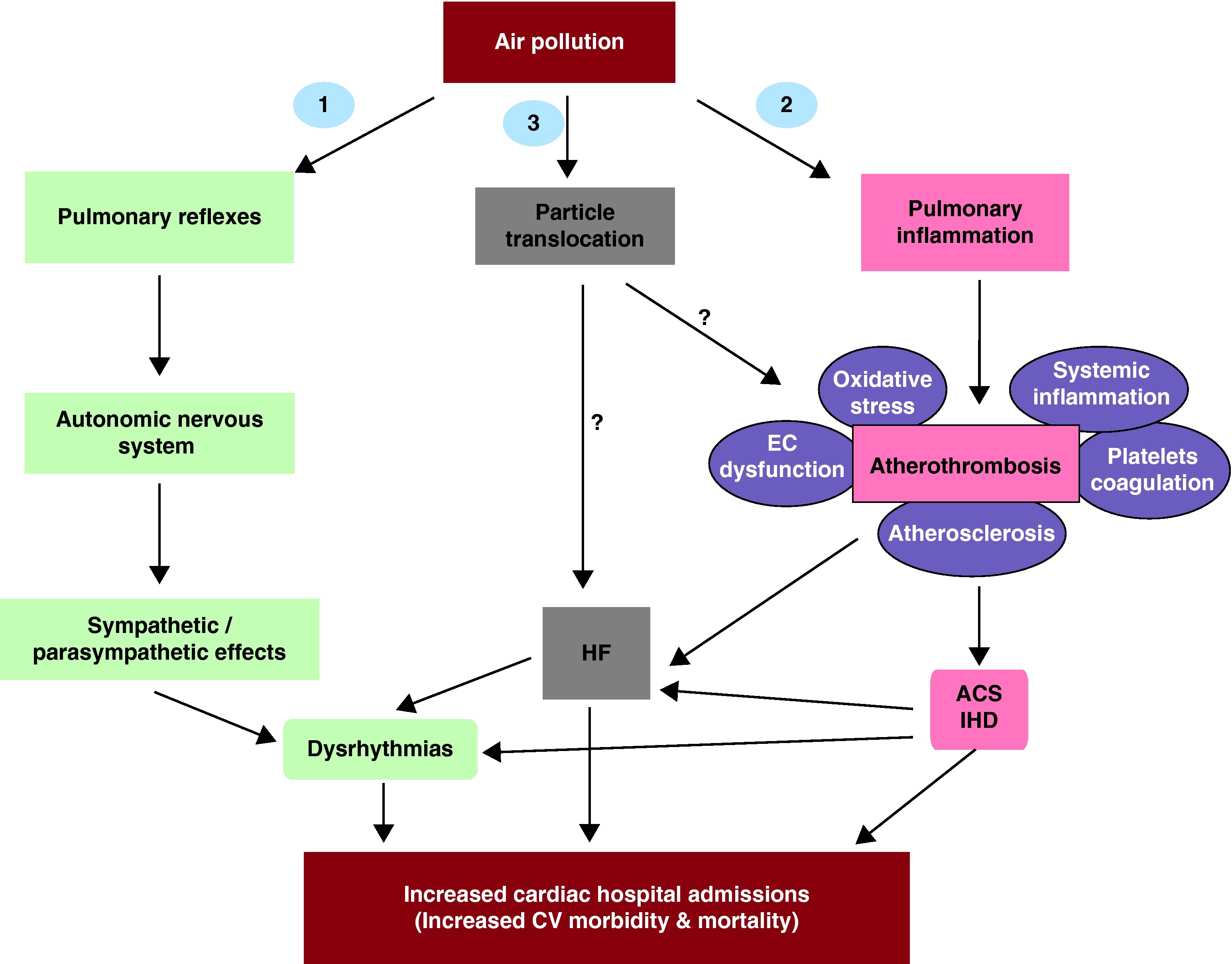 Are Ultrafine Particles a Risk Factor for Cardiovascular Diseases ...