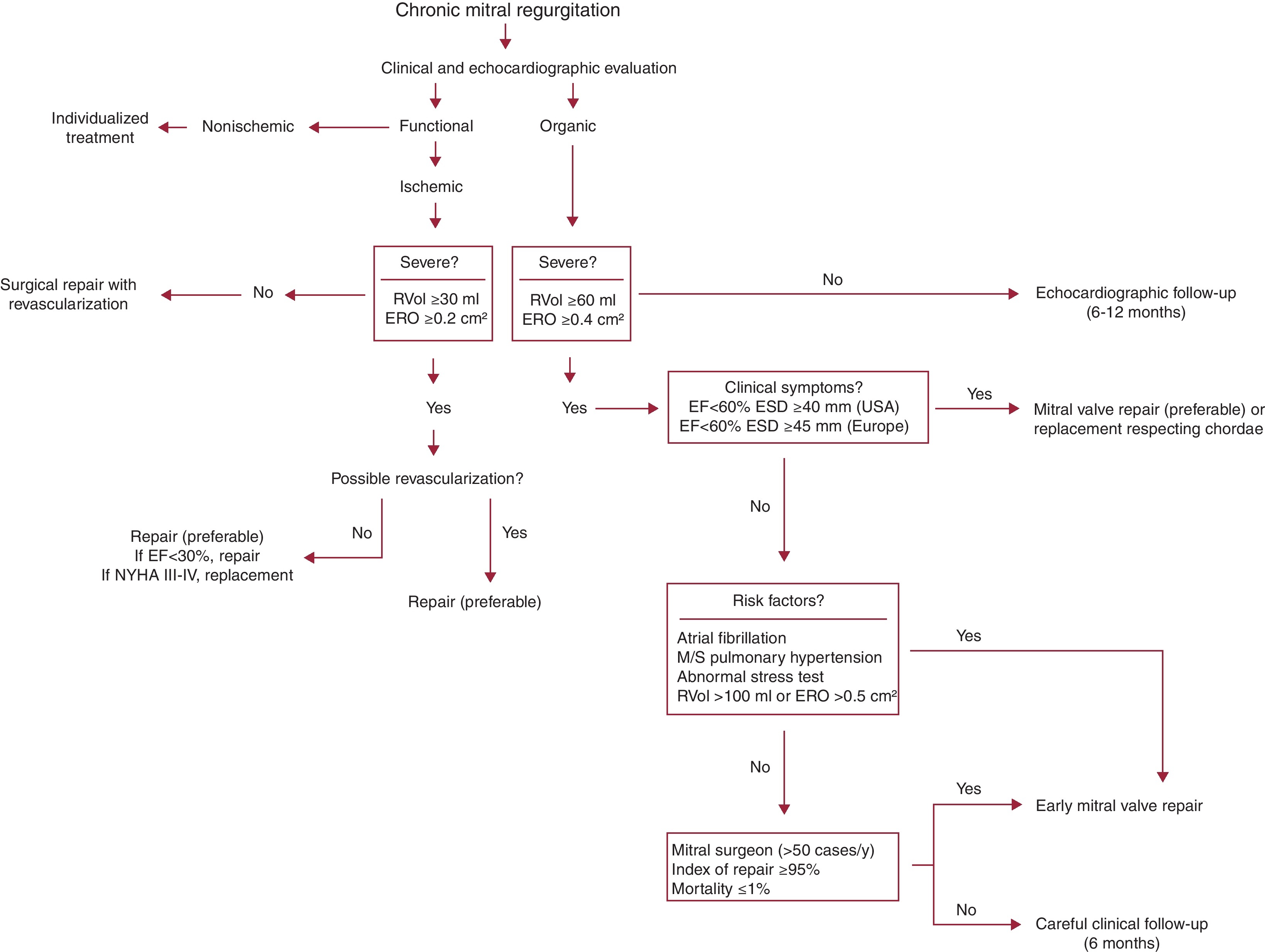 Surgical Echocardiography of the Mitral Valve | Revista Española de ...