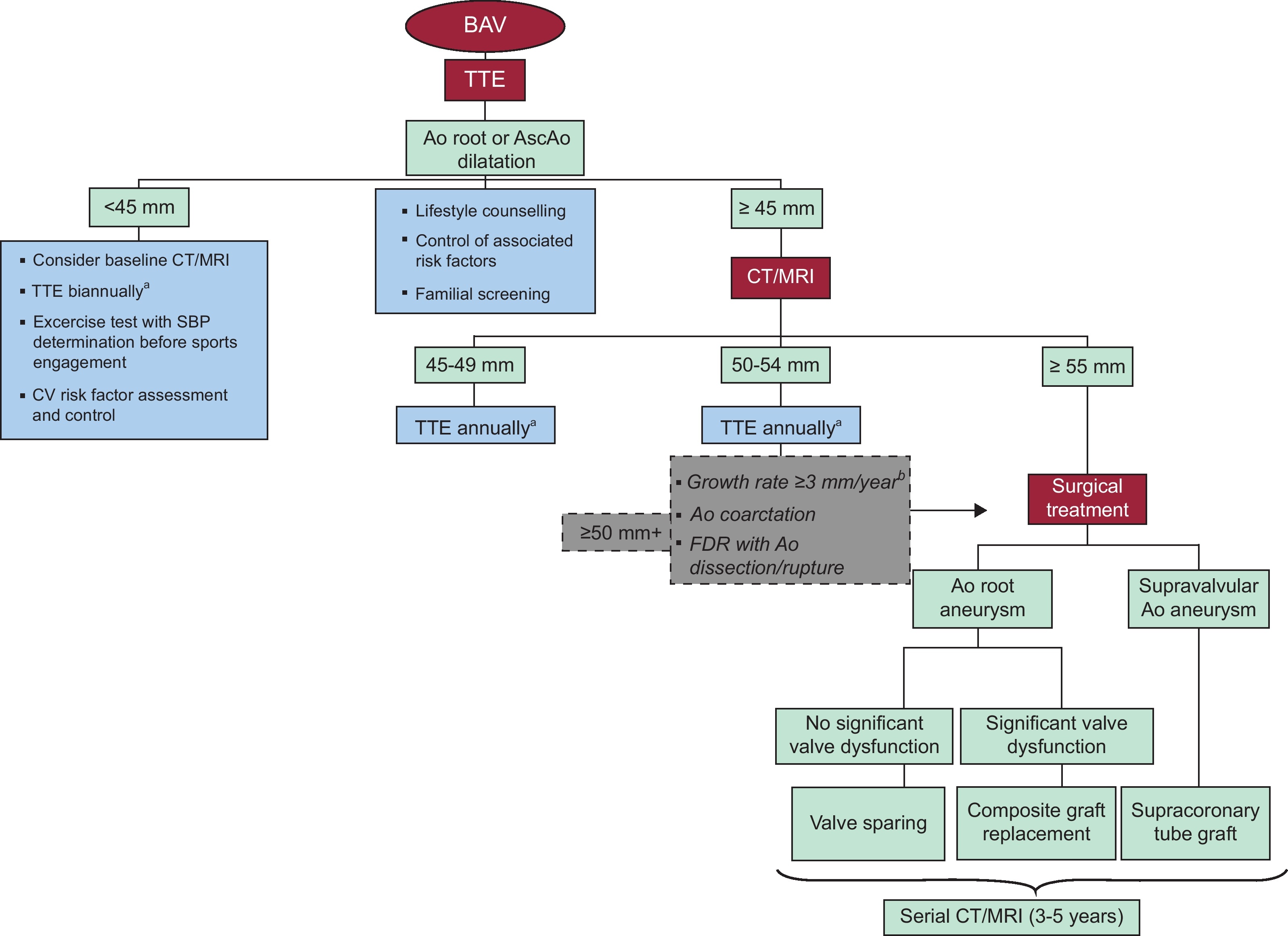 aortic root surveillance
