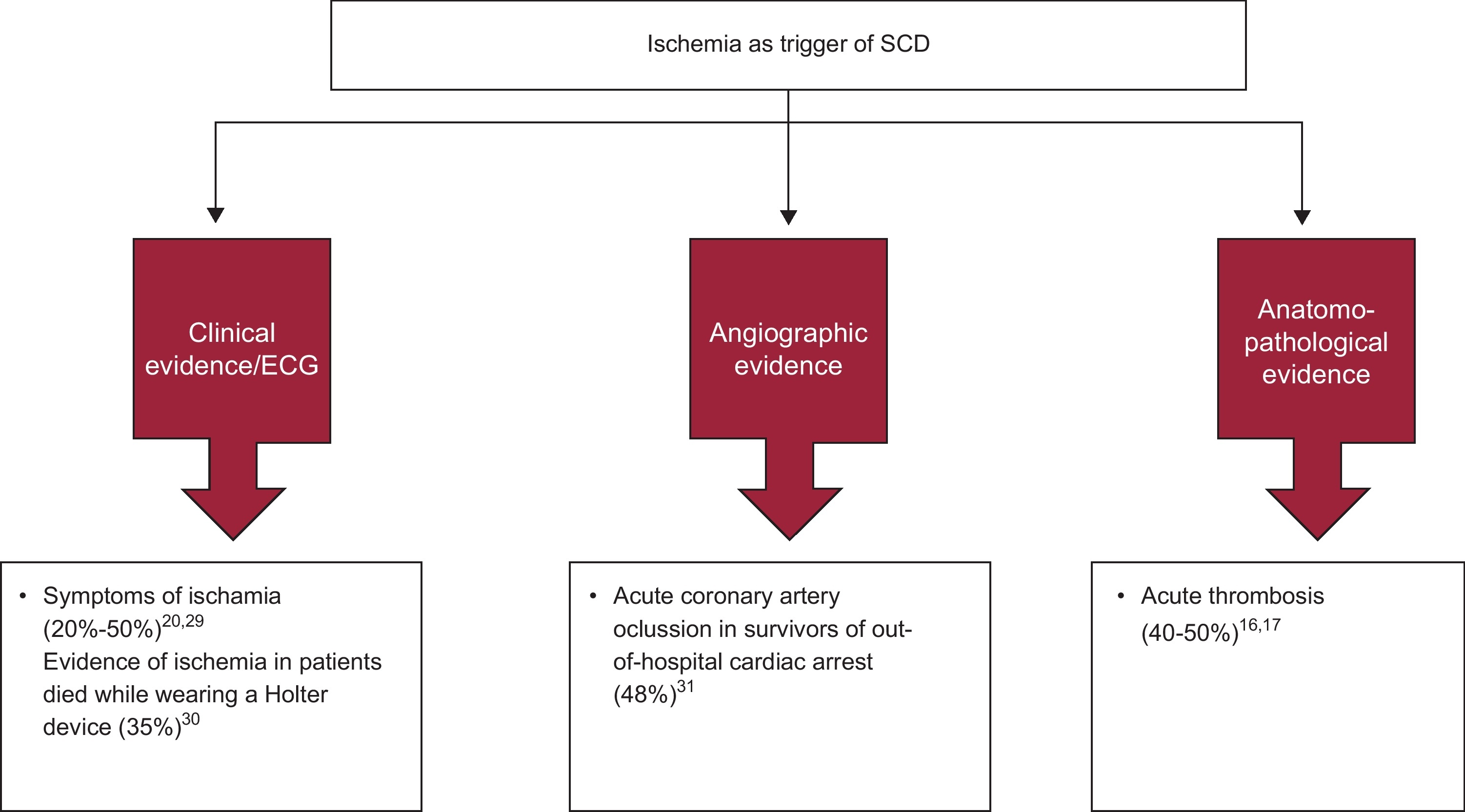 Sudden Death | Revista Española de Cardiología