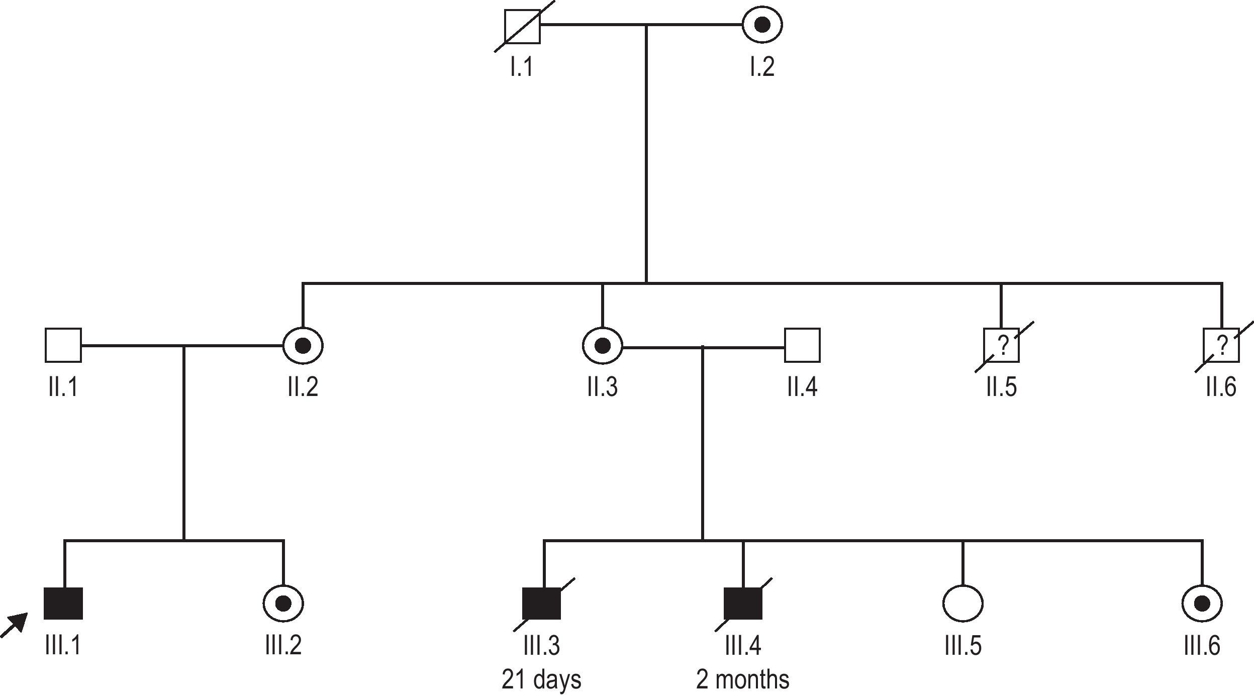 Barth Syndrome in Adulthood: A Clinical Case | Revista Española de ...
