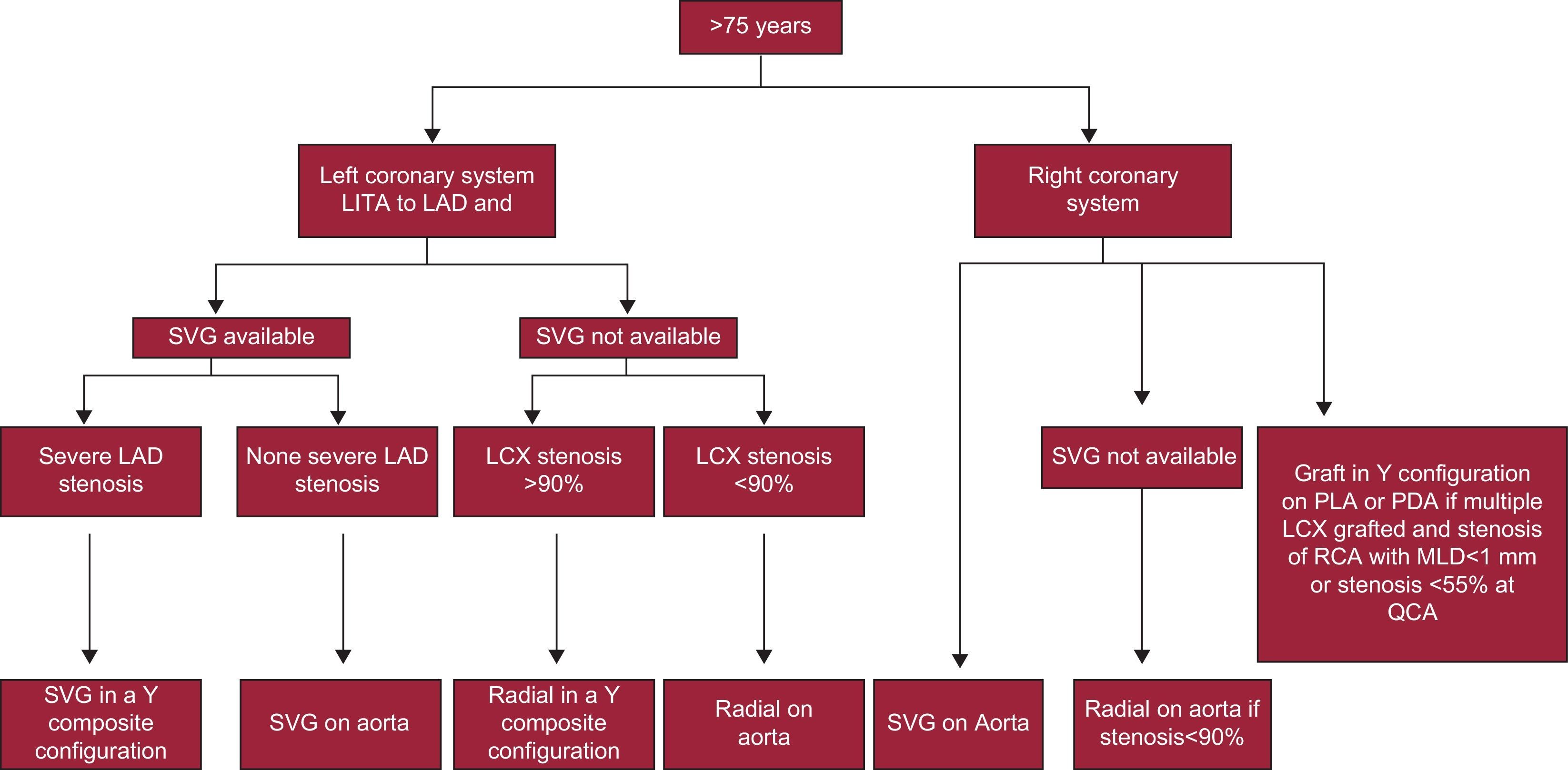 The Choice of the Second Graft | Revista Española de Cardiología