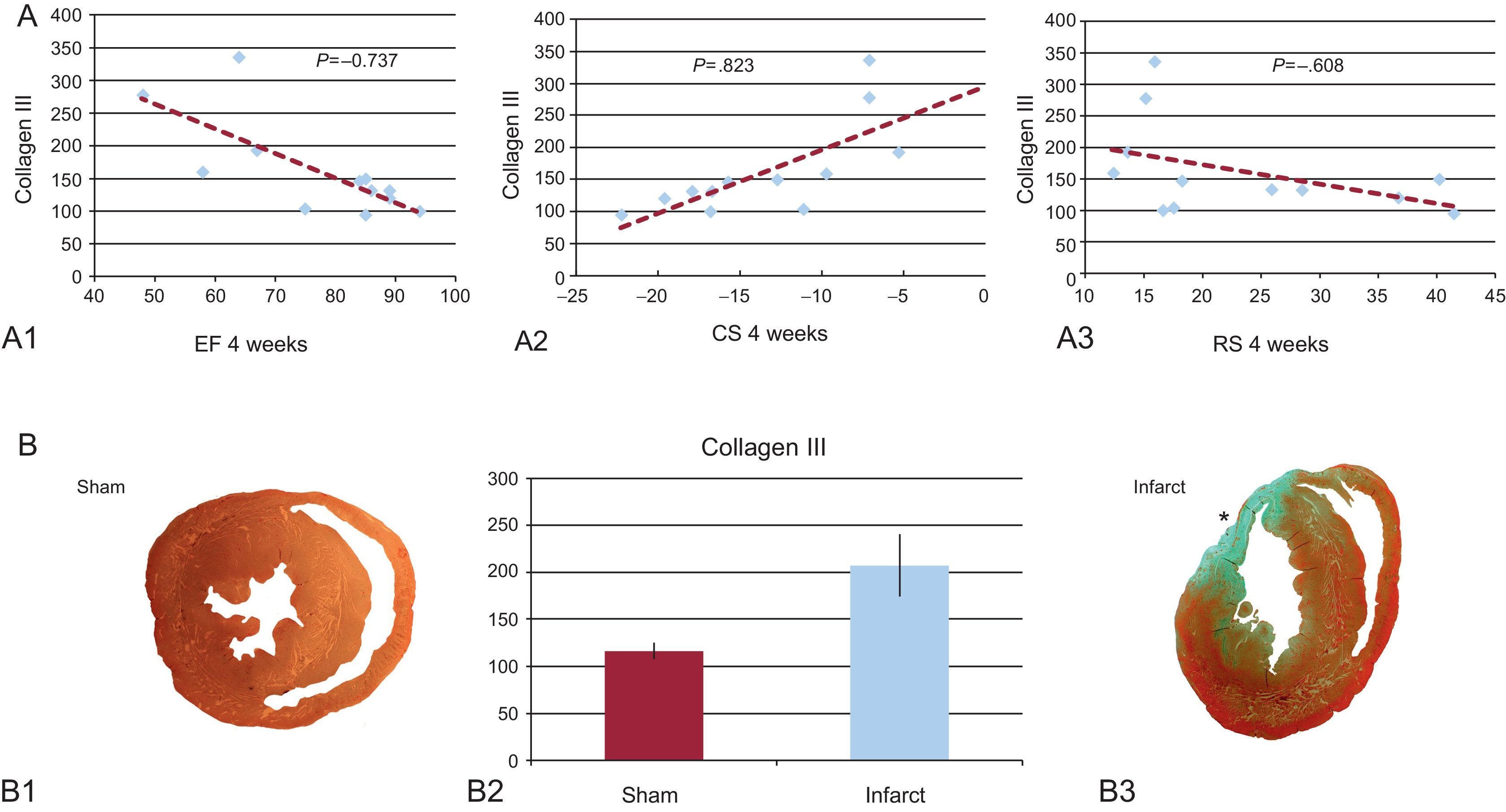 Radial and Circumferential Strain as Markers of Fibrosis in an ...