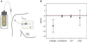 Subcutaneous Infusion of Furosemide Administered by Elastomeric Pumps ...