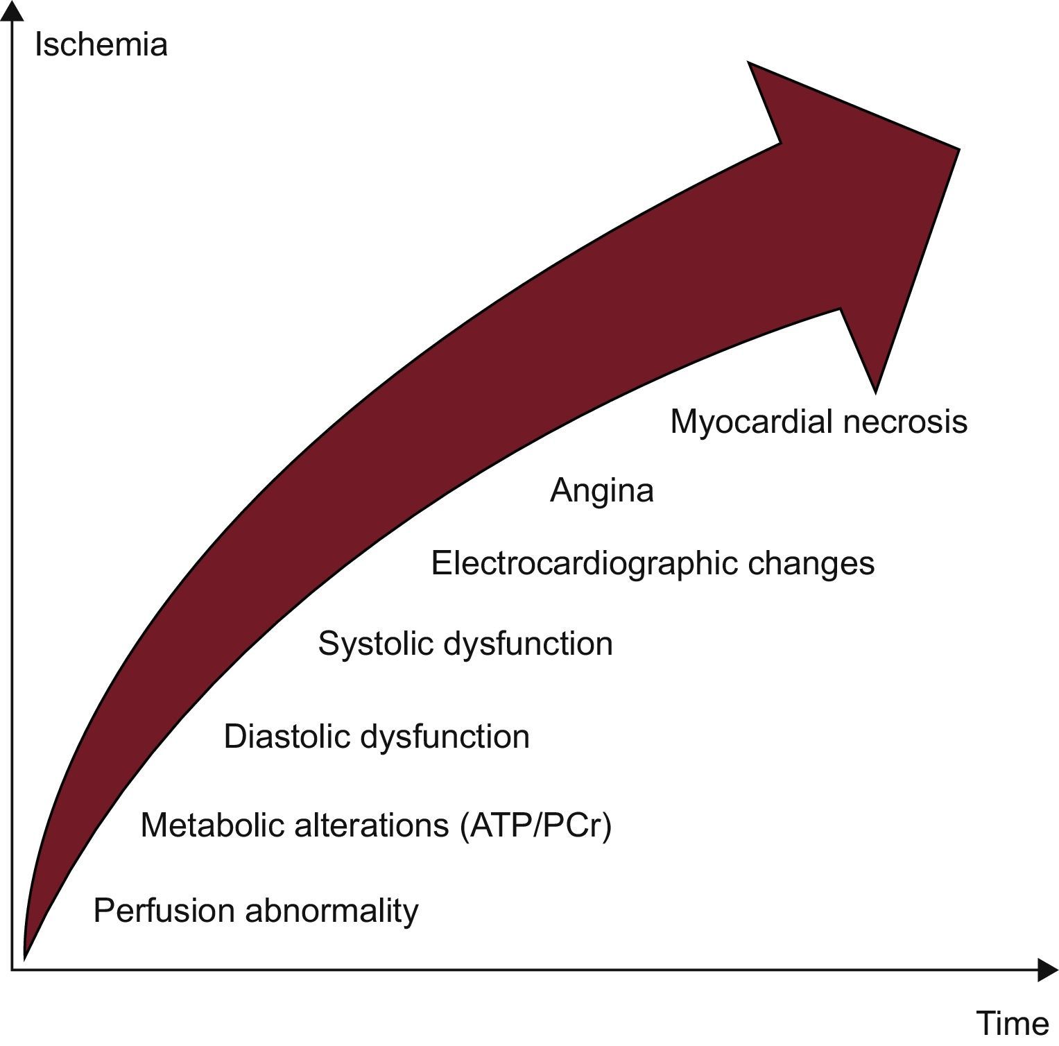 Stress Computed Tomography Myocardial Perfusion Imaging: A New Topic in ...