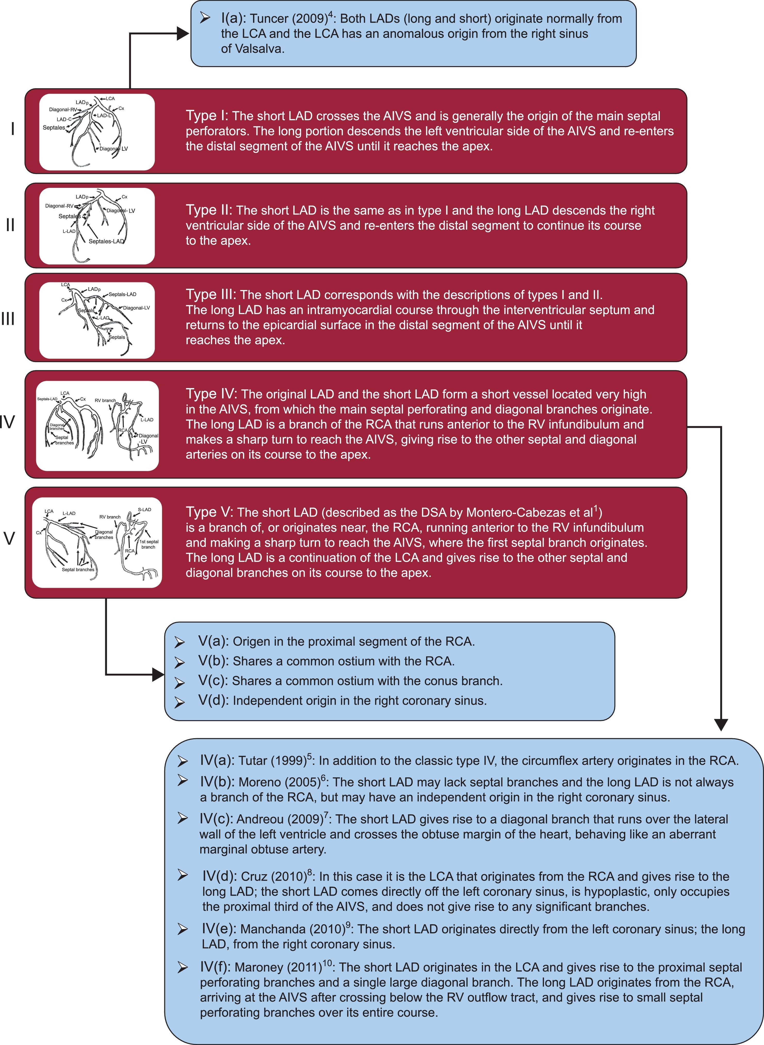 Could Descending Septal Artery Be Another Variant of the Dual Left ...