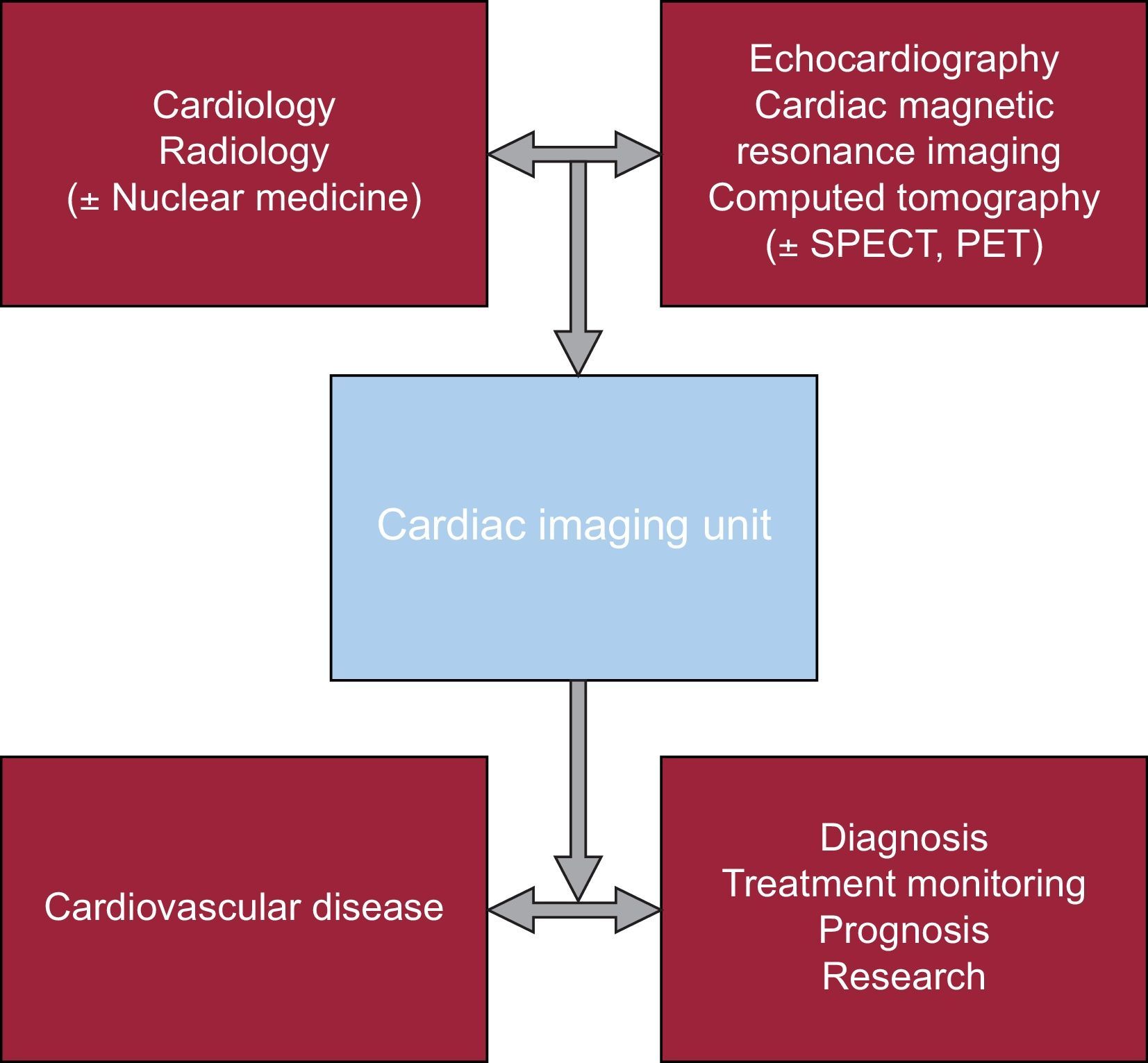 Integrating Multimodal Imaging in Clinical Practice: The Importance of ...