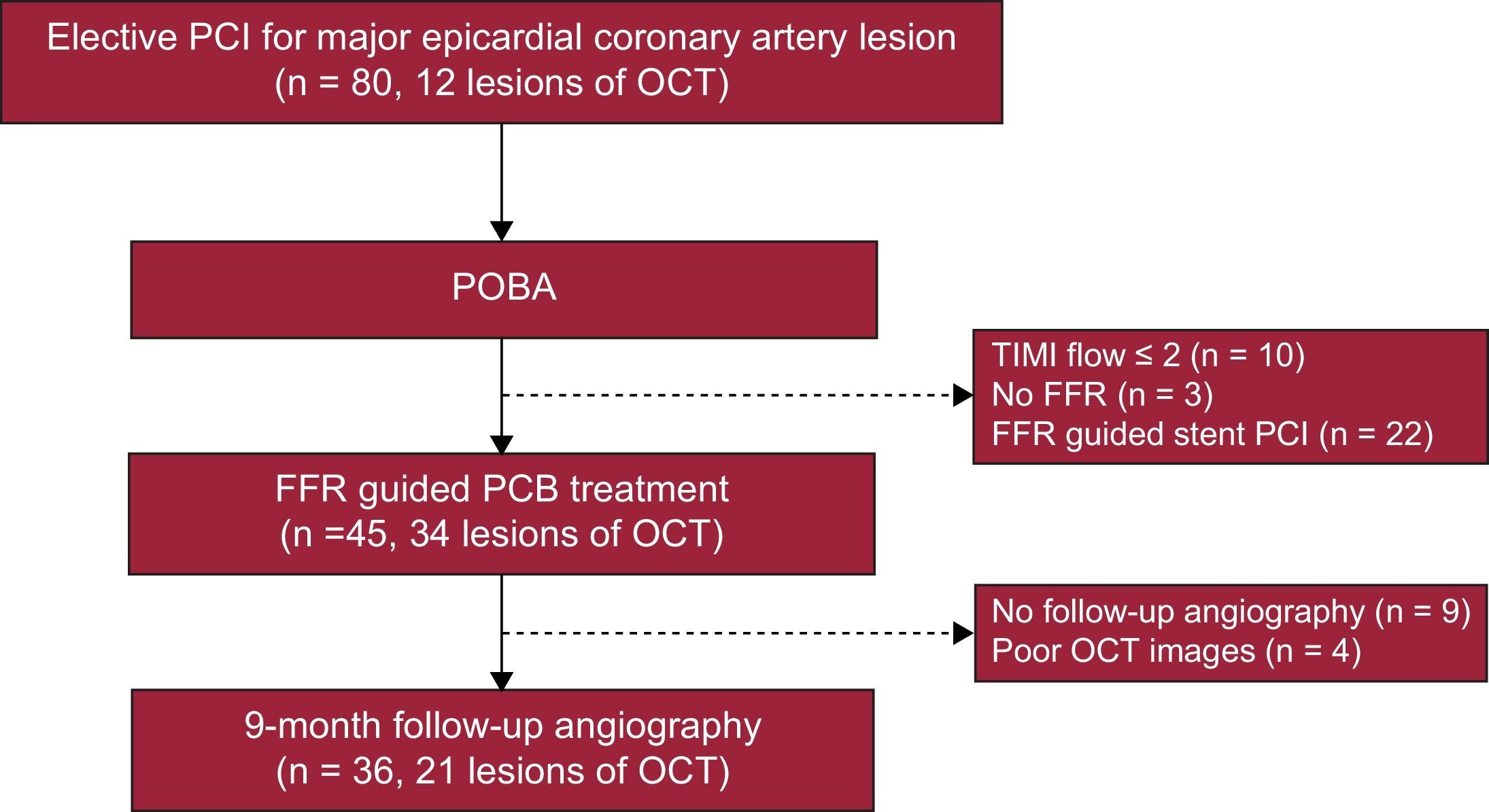 Serial Morphological and Functional Assessment of the Paclitaxel-coated ...