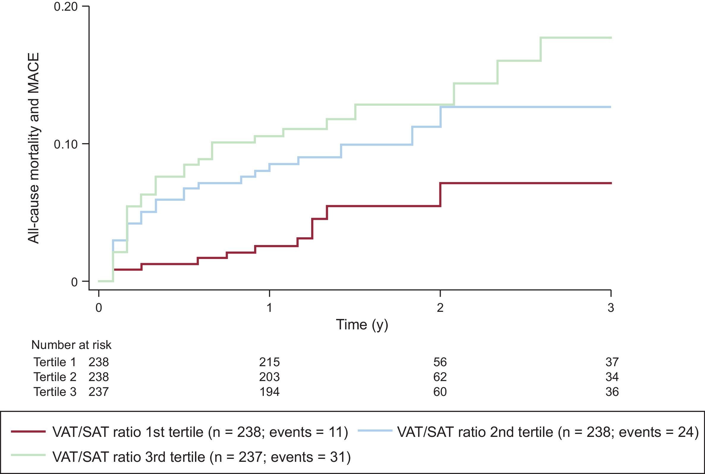 The Ratio Between Visceral and Subcutaneous Abdominal Fat Assessed by ...