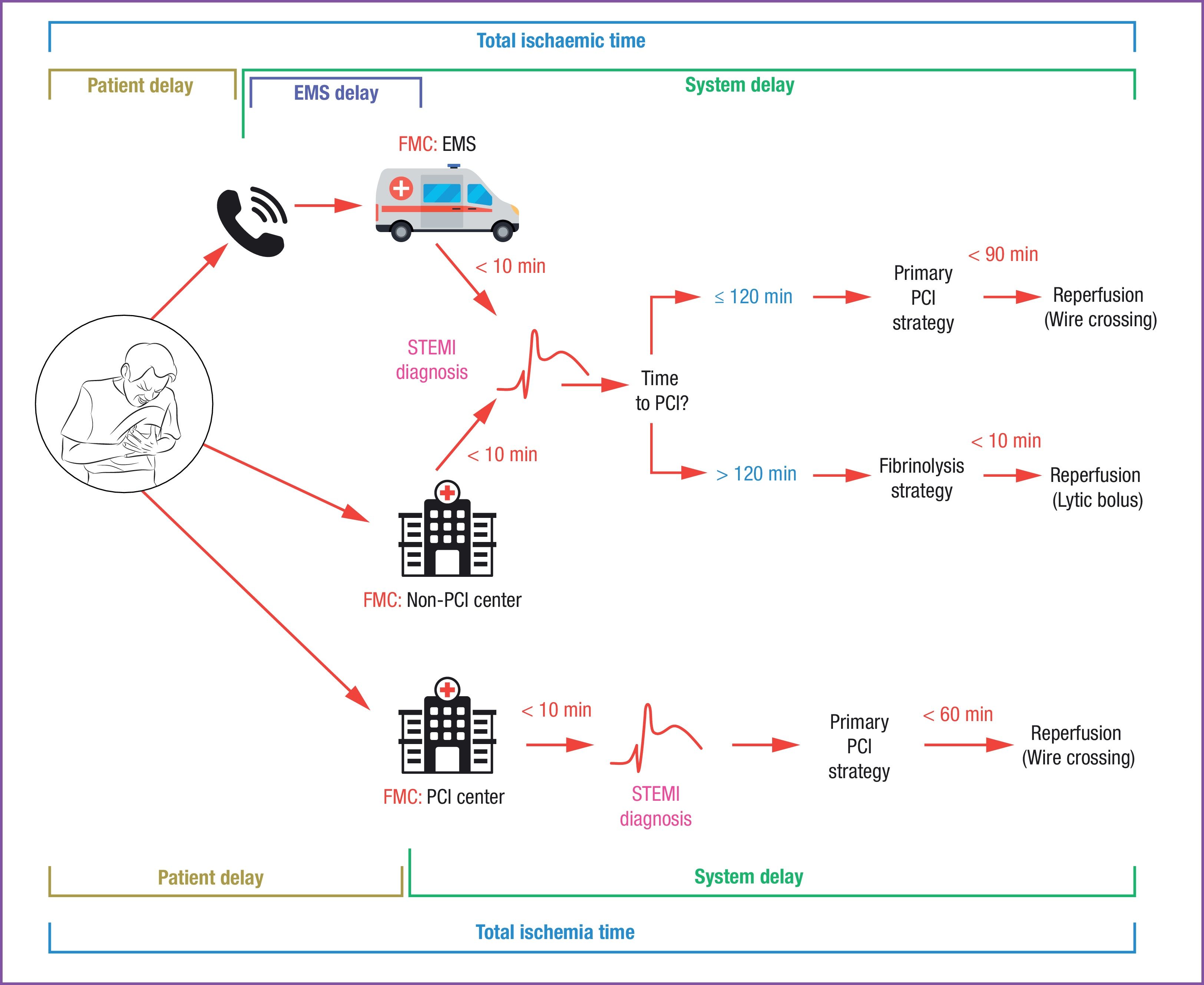 Comments on the 2017 ESC Guidelines for the Management of Acute ...
