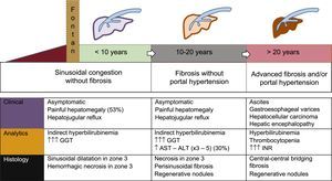 Fontan-associated Liver Disease | Revista Española de Cardiología