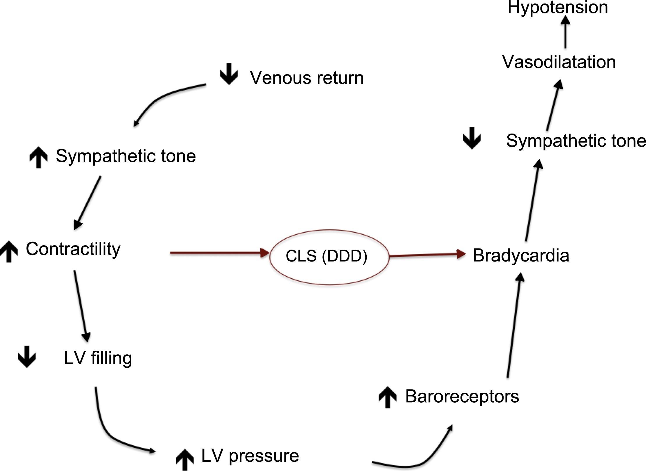 Selection of the Best of 2017 in Clinical Arrhythmology - Revista ...