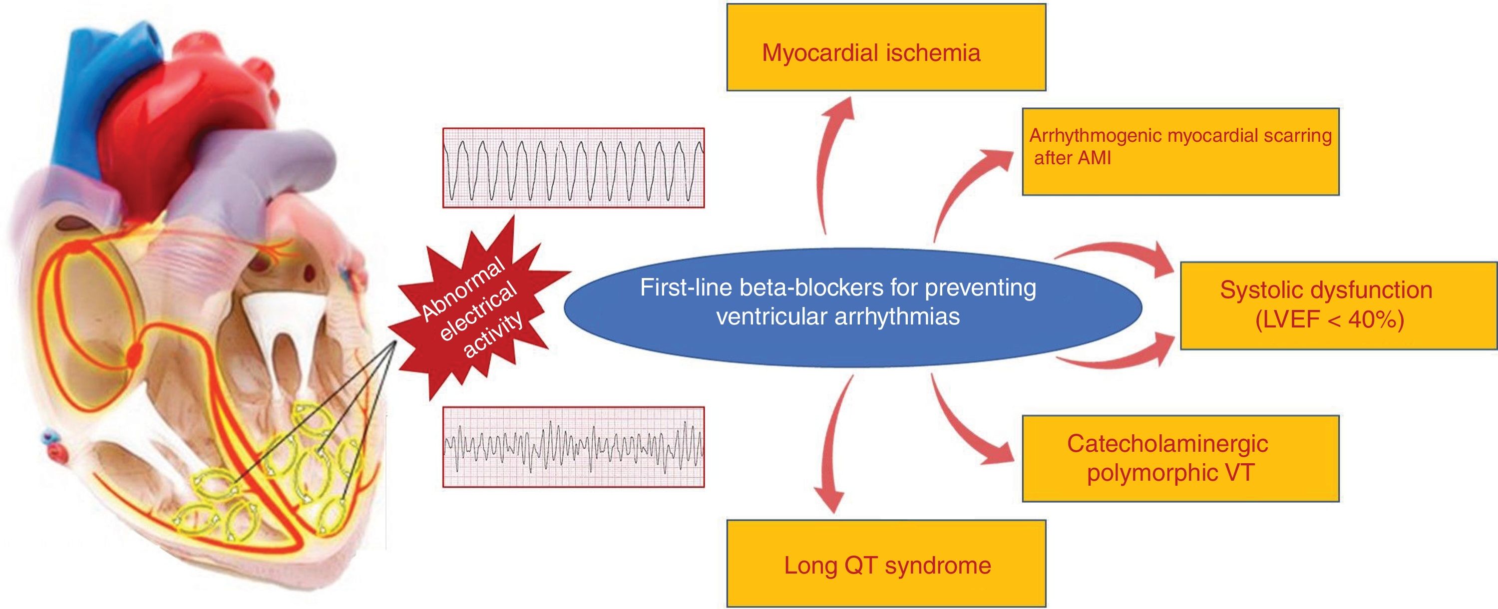 Role of Beta-blockers in Cardiovascular Disease in 2019 | Revista ...