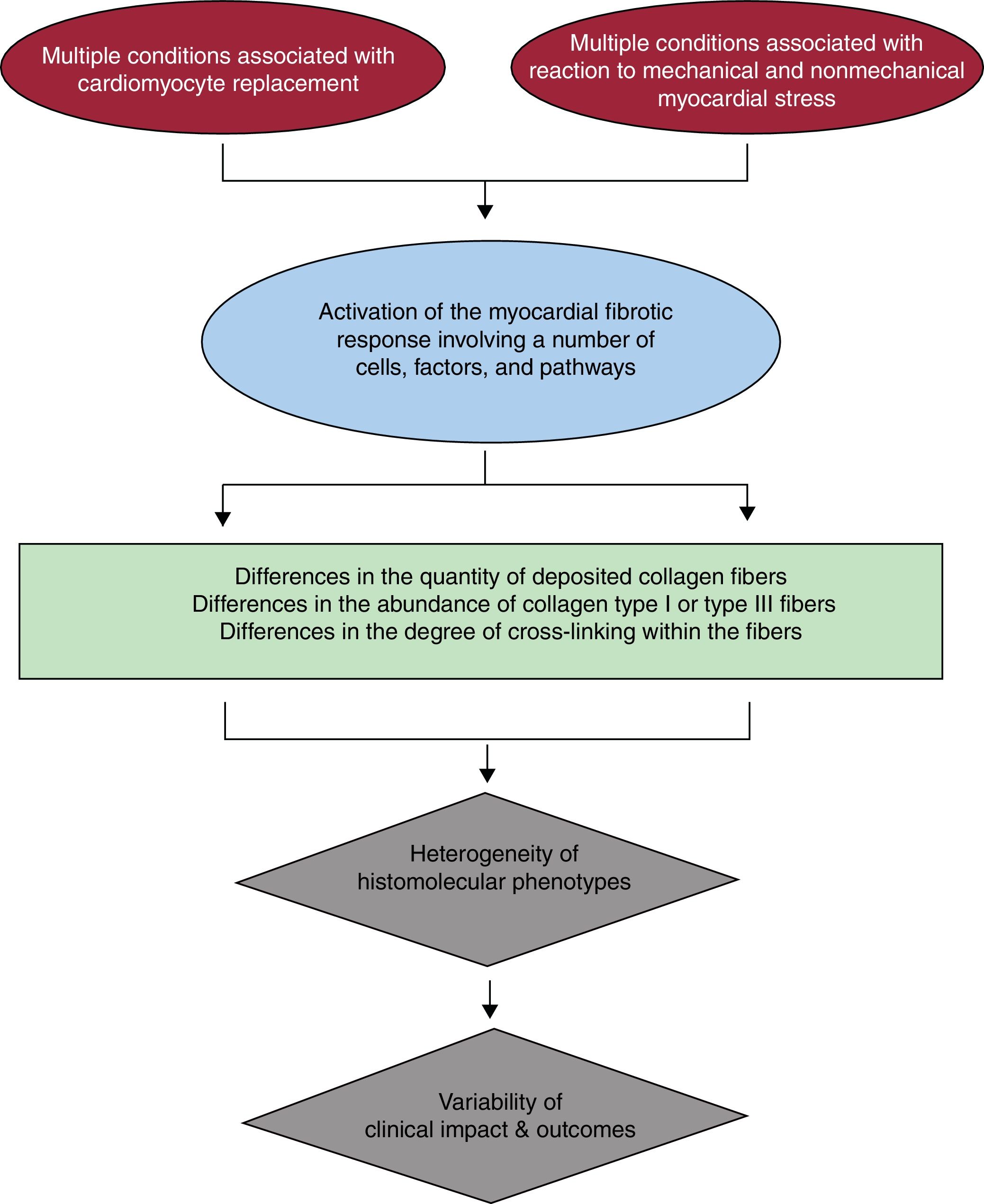 Myocardial interstitial fibrosis in the era of precision medicine ...