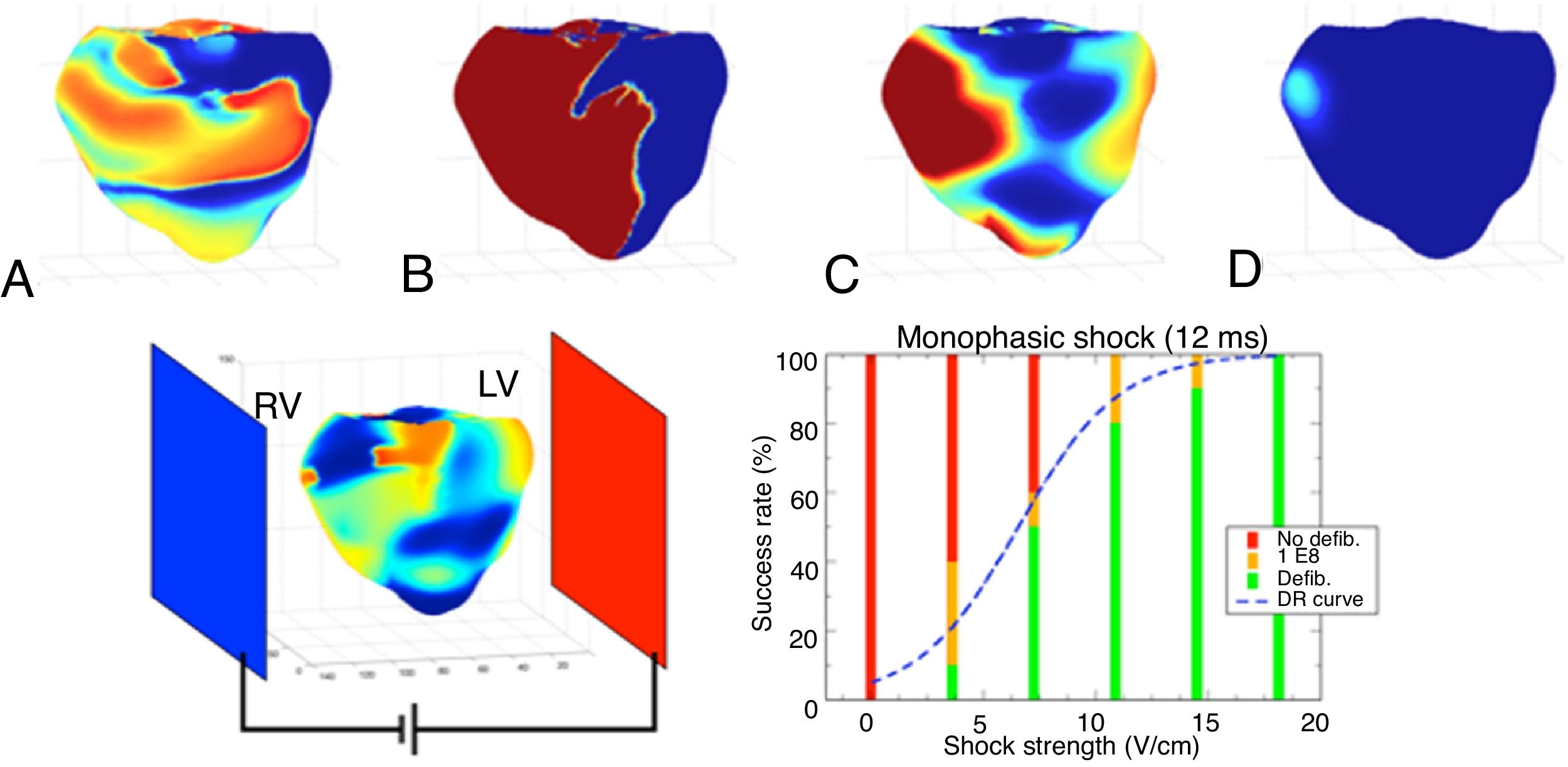 Cardiac Computational Modelling Revista Española De Cardiología