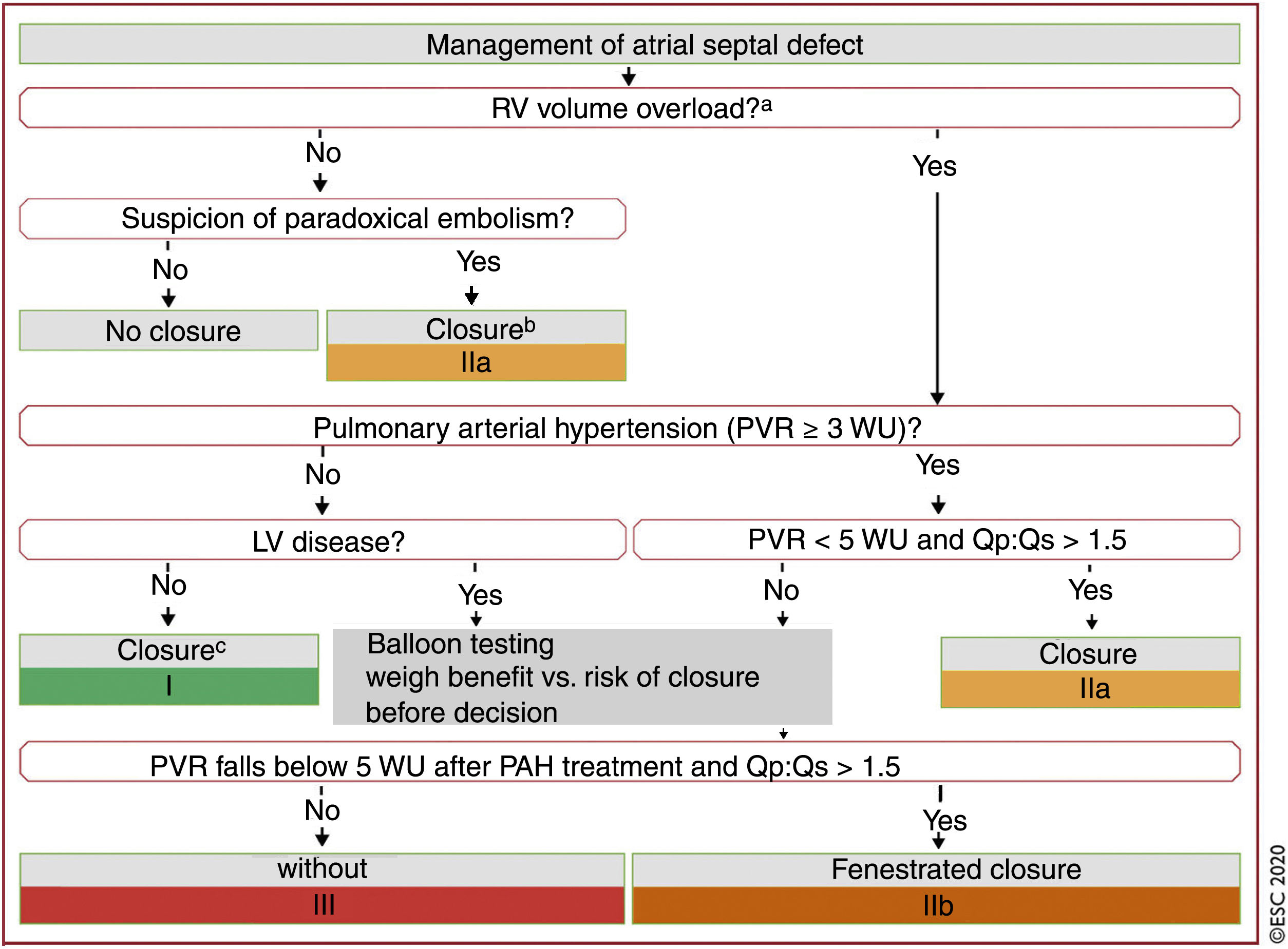 ventricular tachycardia algorithm esc