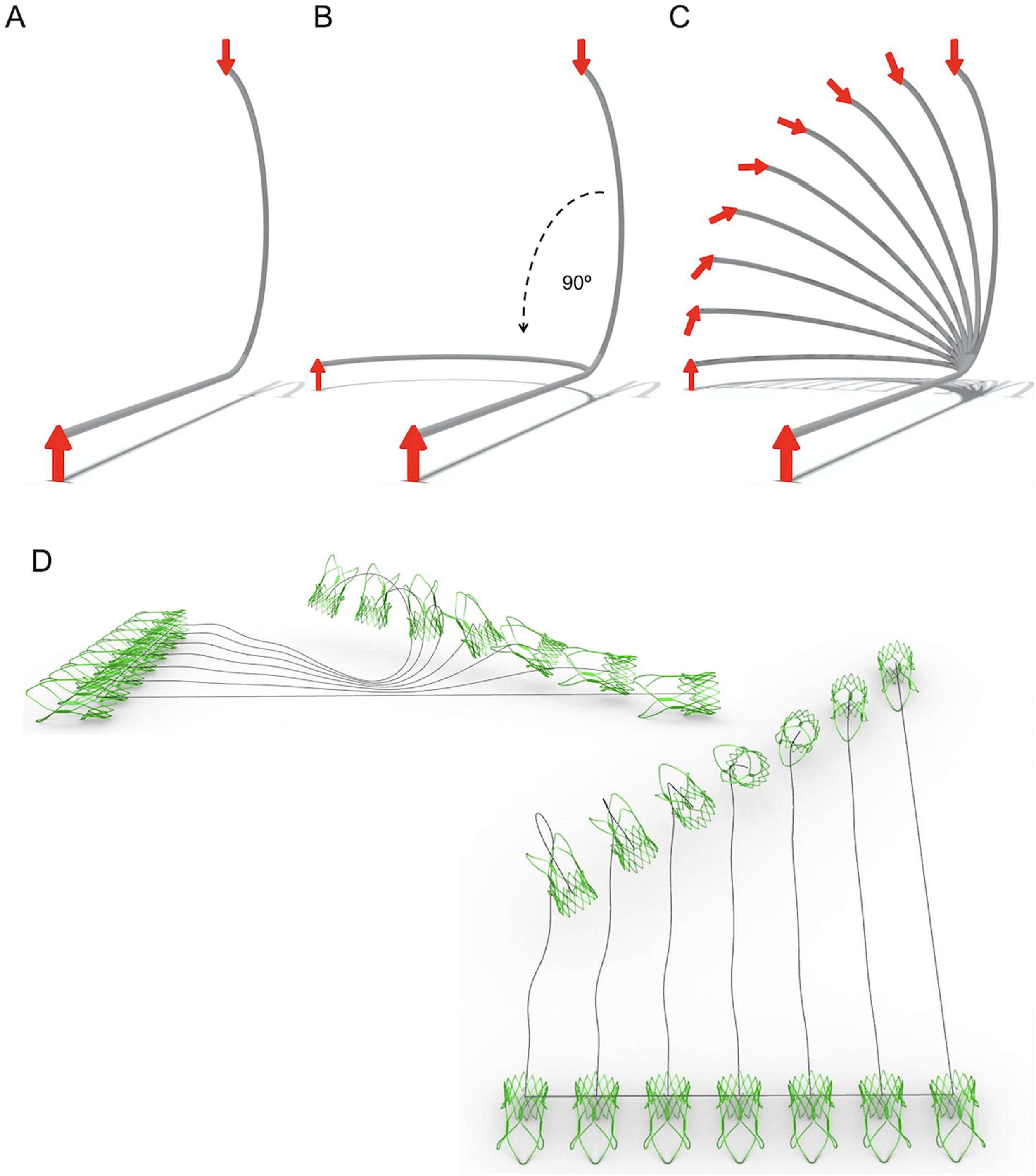 Accurate commissural alignment during ACURATE neo TAVI procedure. Proof ...