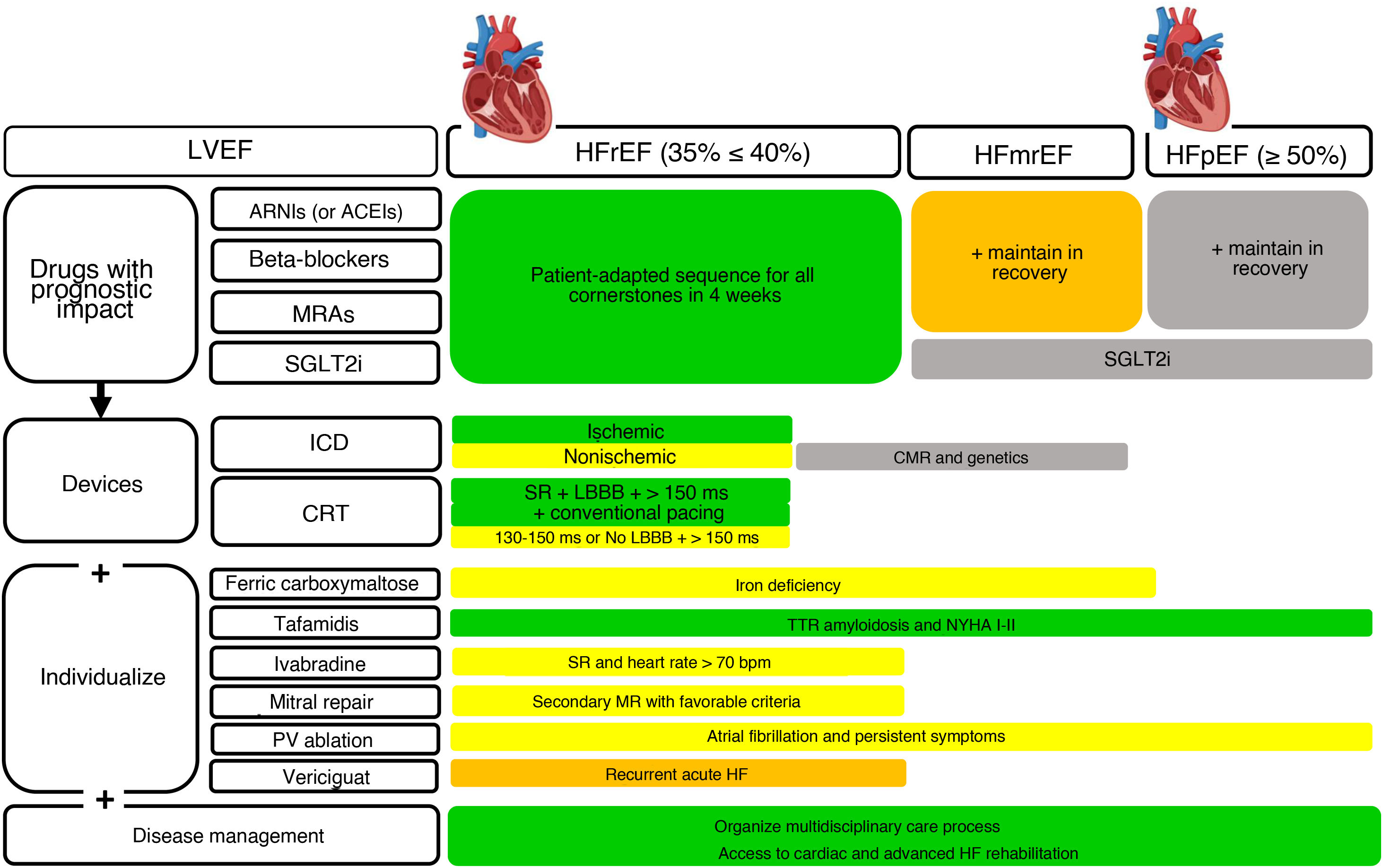 Comments on the 2021 ESC guidelines for the diagnosis and treatment of ...