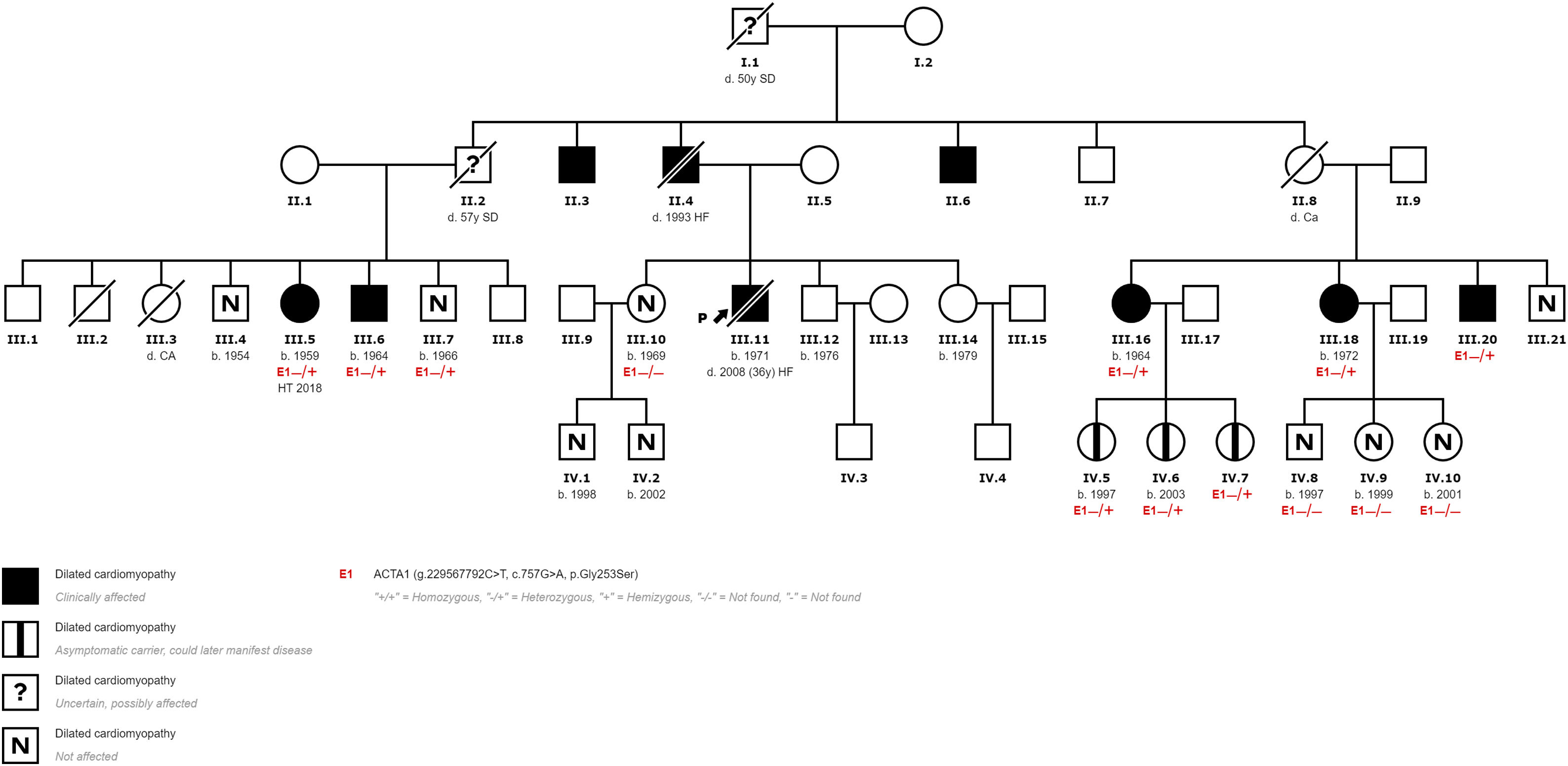 A new mutation in the ACTA1 gene possibly associated with dilated ...