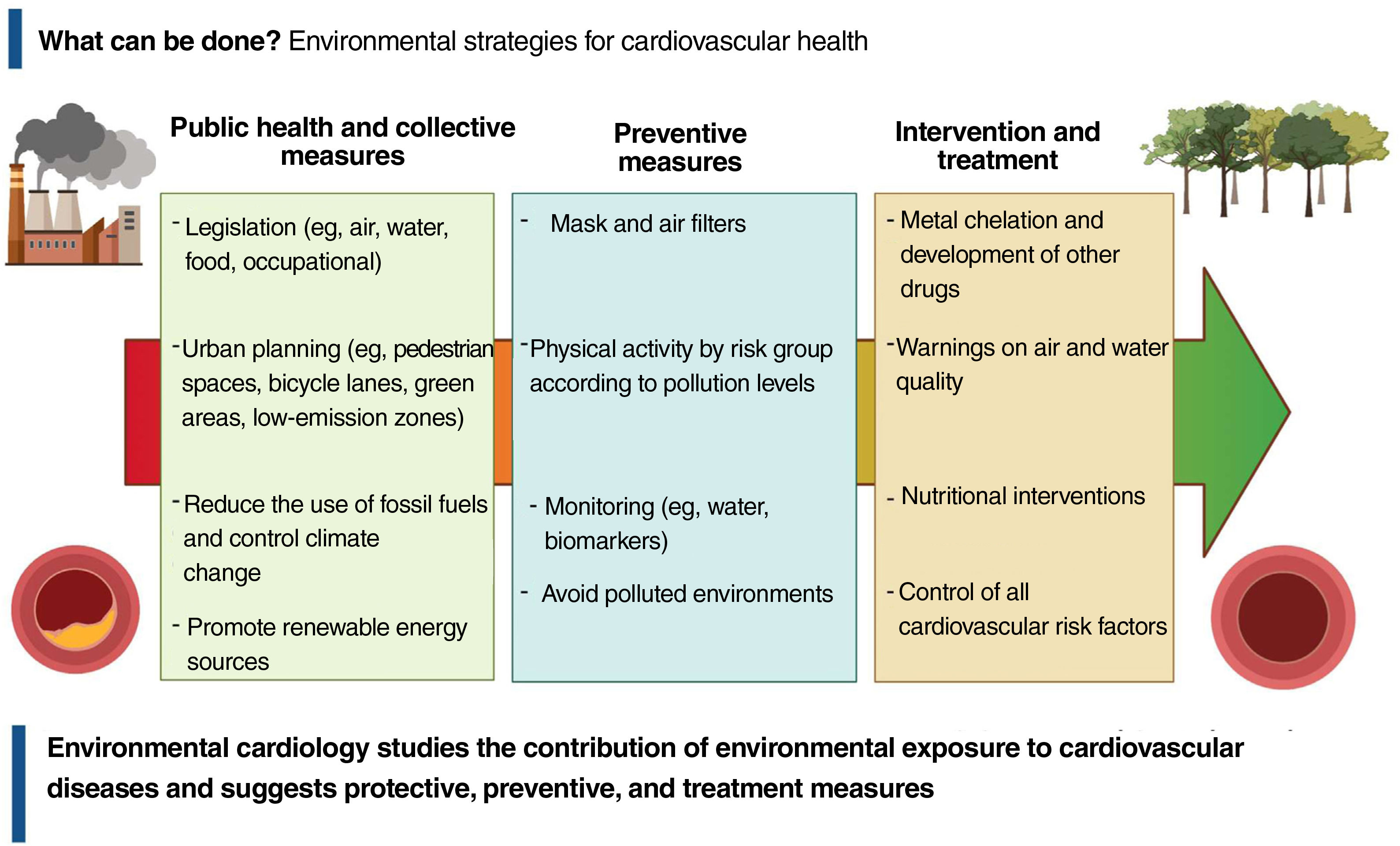 Environment and cardiovascular health: causes, consequences and ...