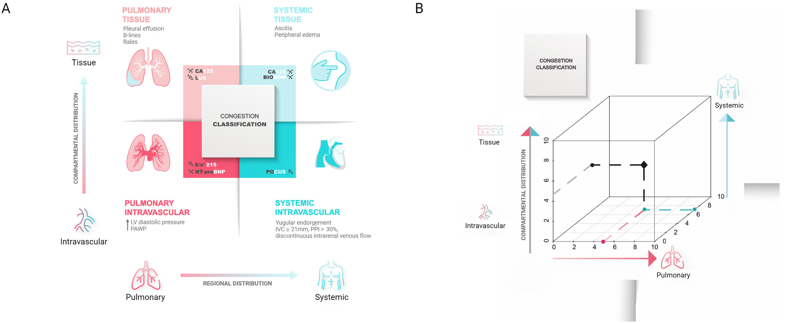Assessment of filling pressures and fluid overload in heart failure: an ...